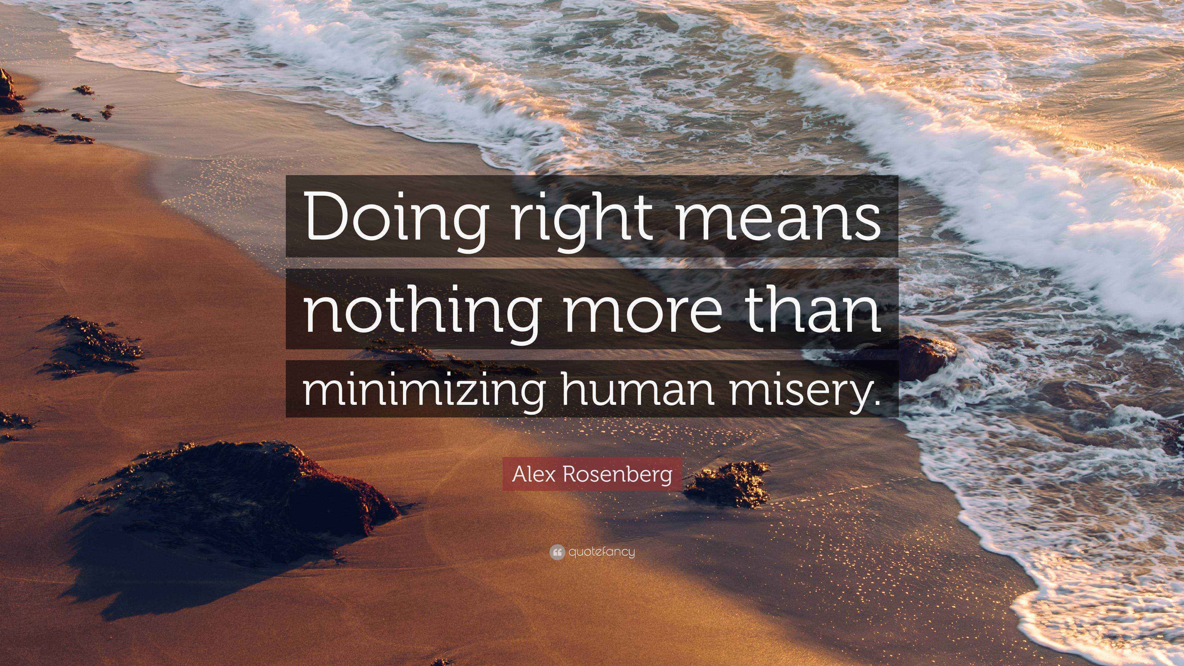 Alex Rosenberg Quote: “Doing right means nothing more than minimizing ...