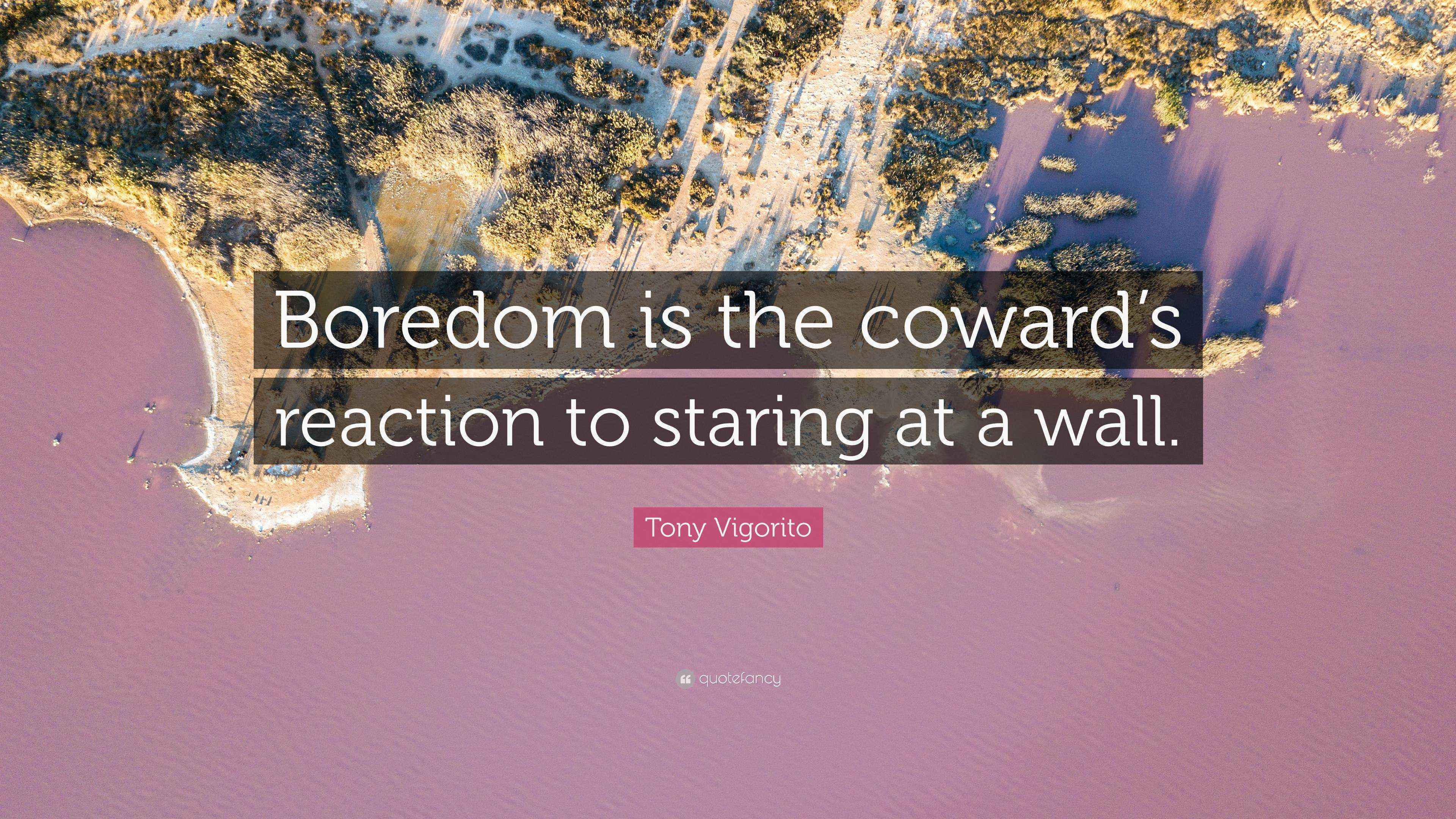 Tony Vigorito Quote: “Boredom is the coward’s reaction to staring at a ...