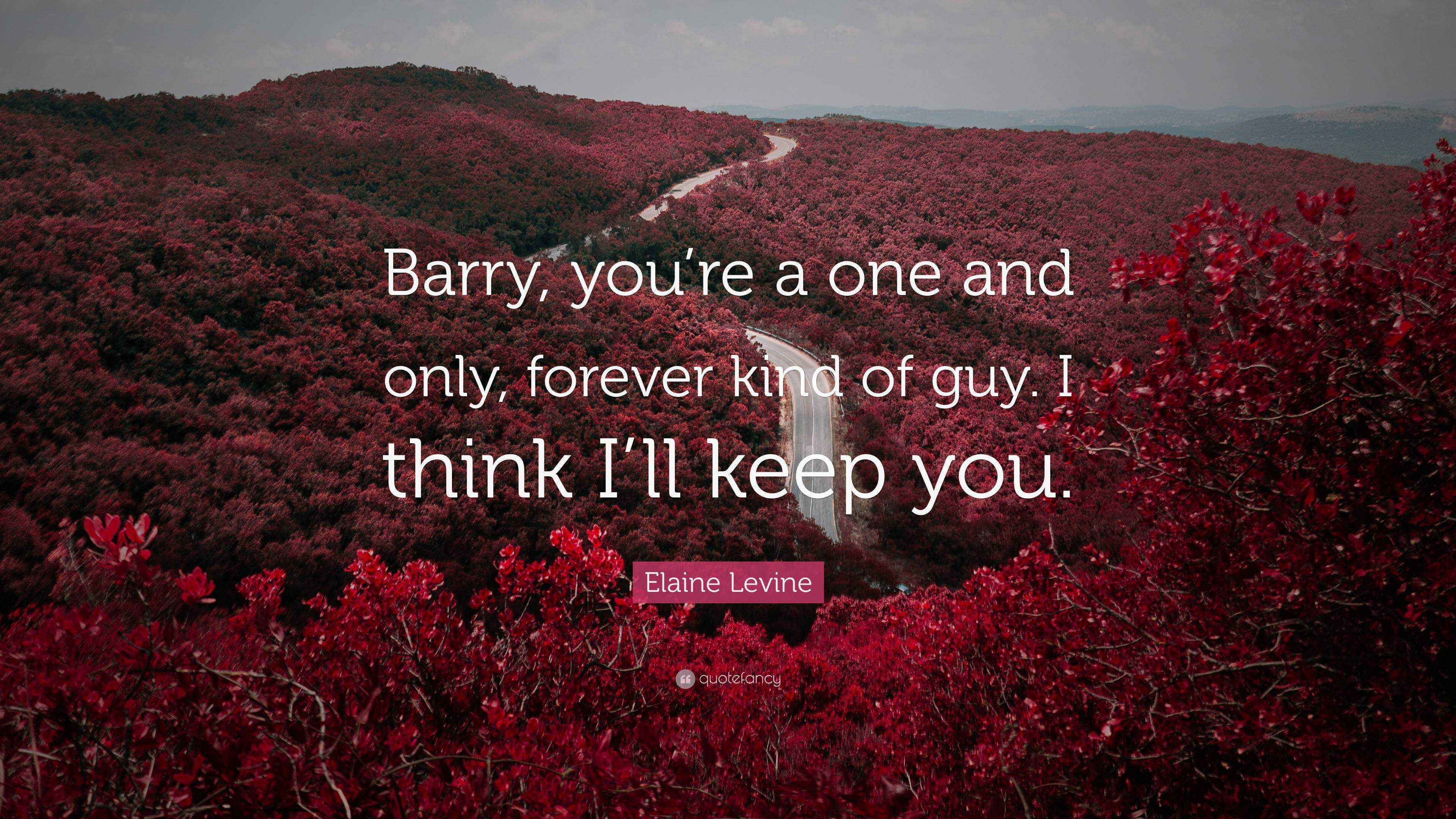 Elaine Levine Quote: “Barry, you’re a one and only, forever kind of guy ...