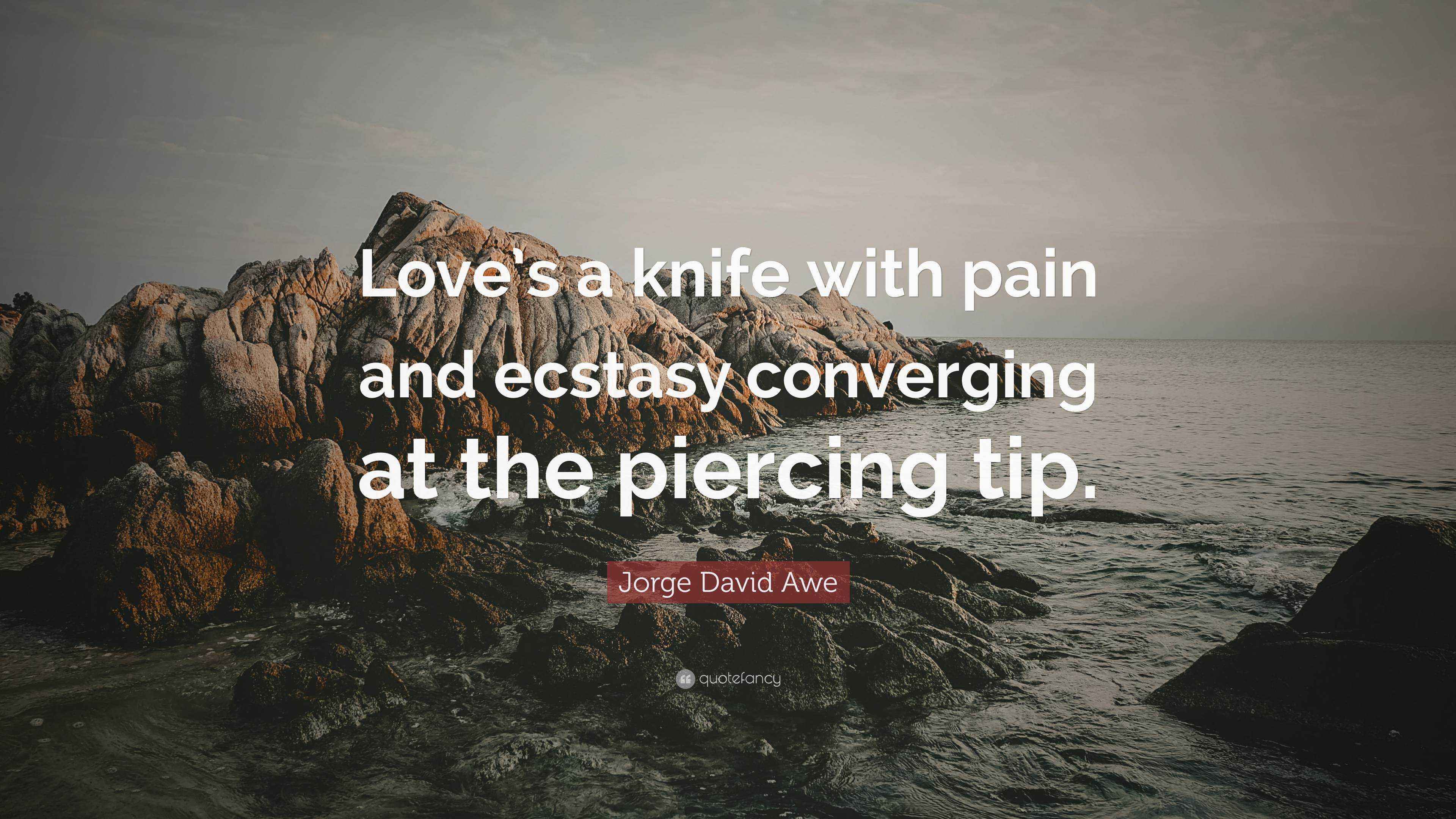 Jorge David Awe Quote: “Love’s a knife with pain and ecstasy converging ...