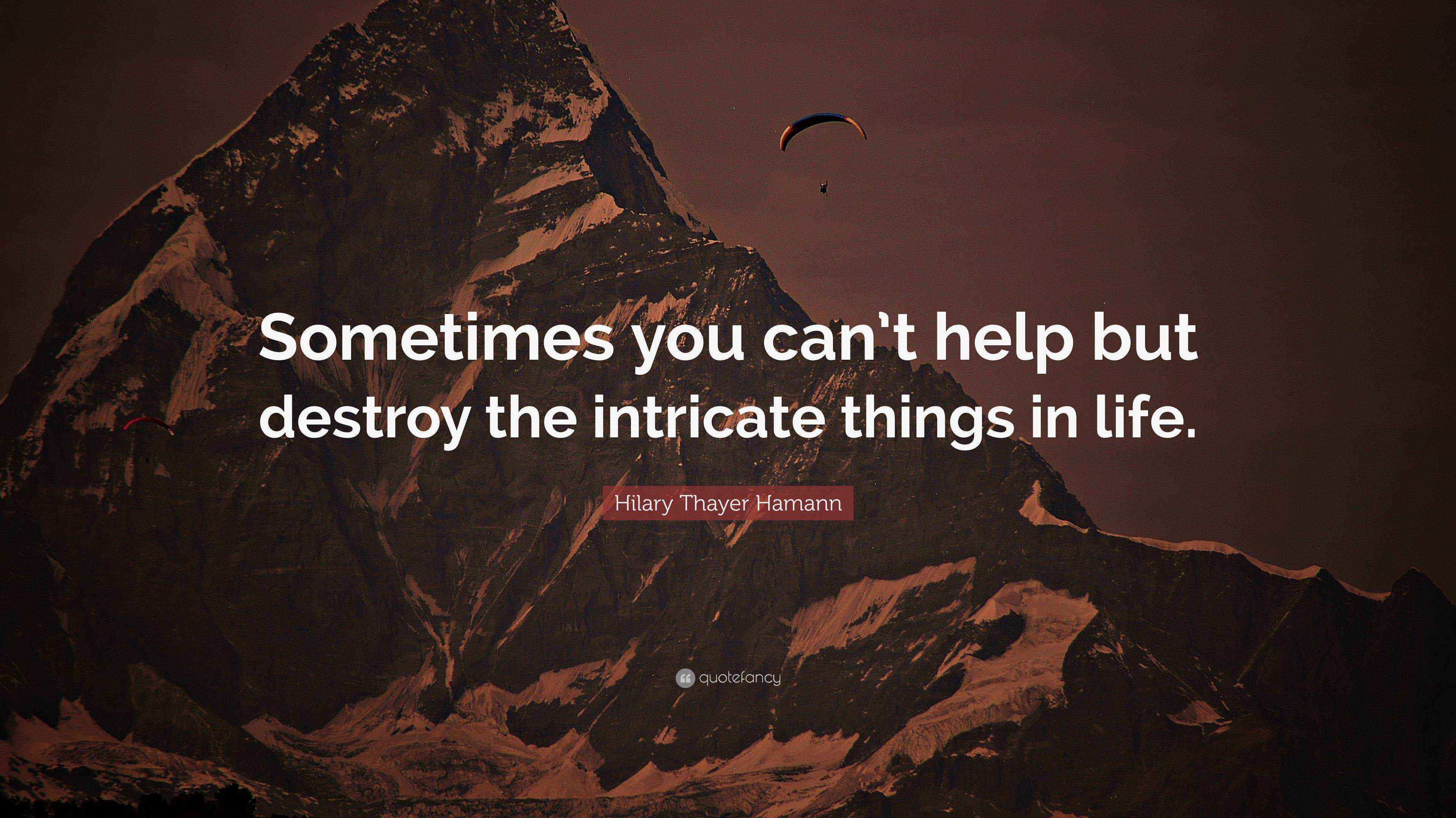 Hilary Thayer Hamann Quote: “Sometimes you can’t help but destroy the ...