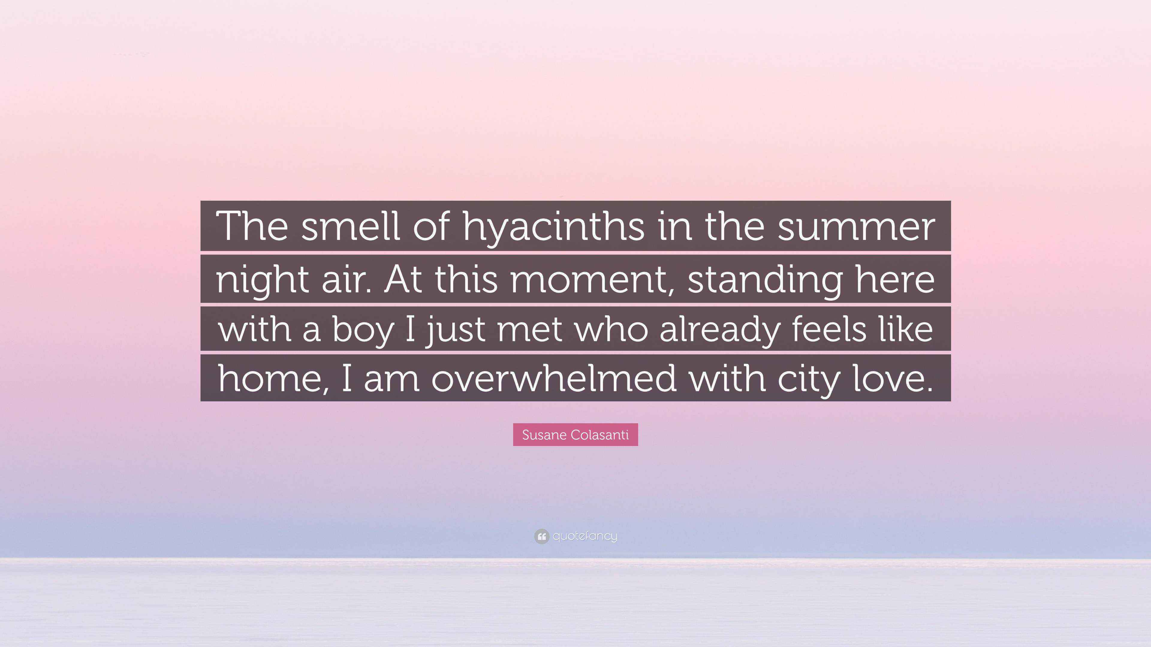 Susane Colasanti Quote: “The smell of hyacinths in the summer night air ...