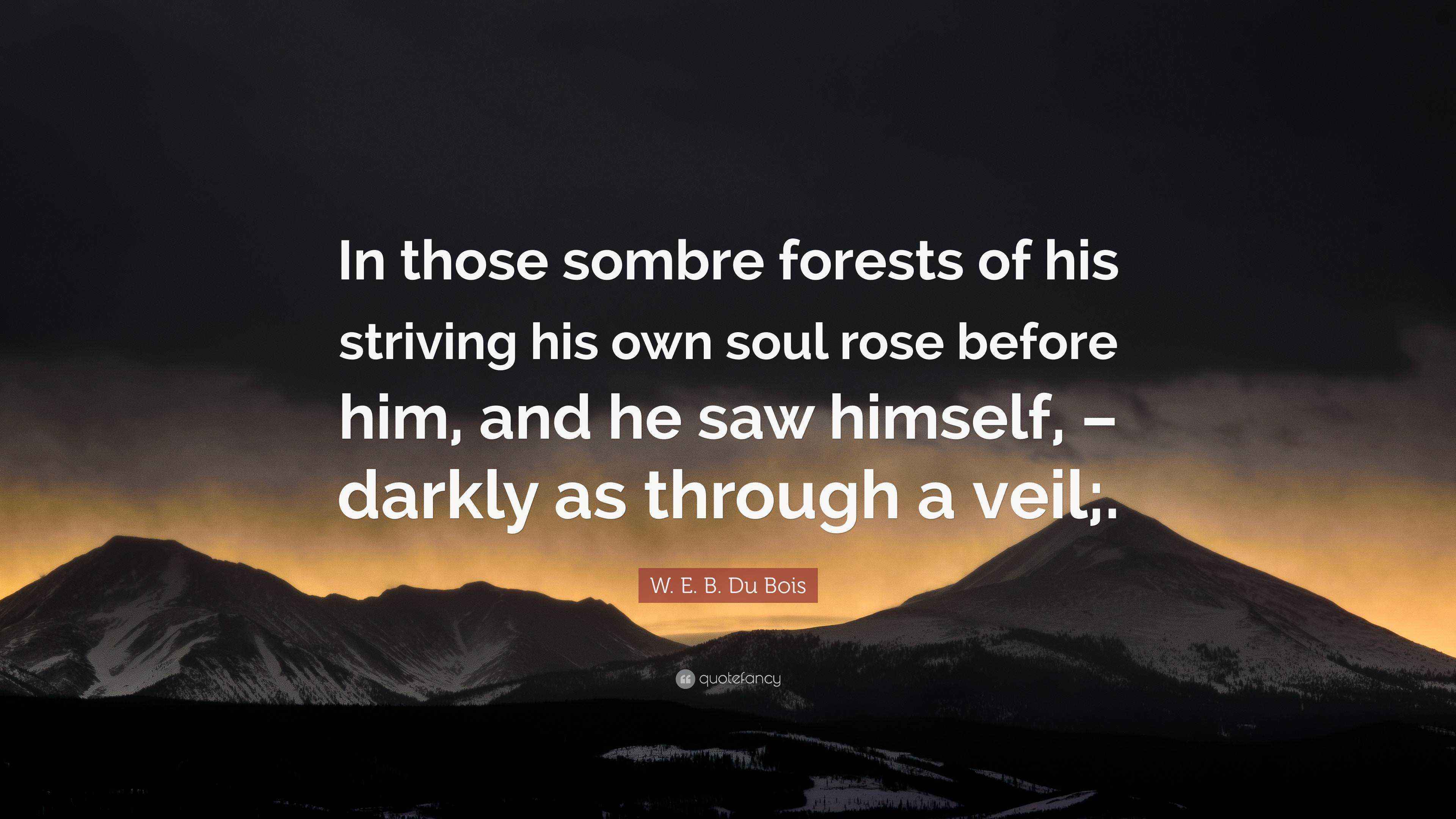 W. E. B. Du Bois Quote: “In those sombre forests of his striving his ...