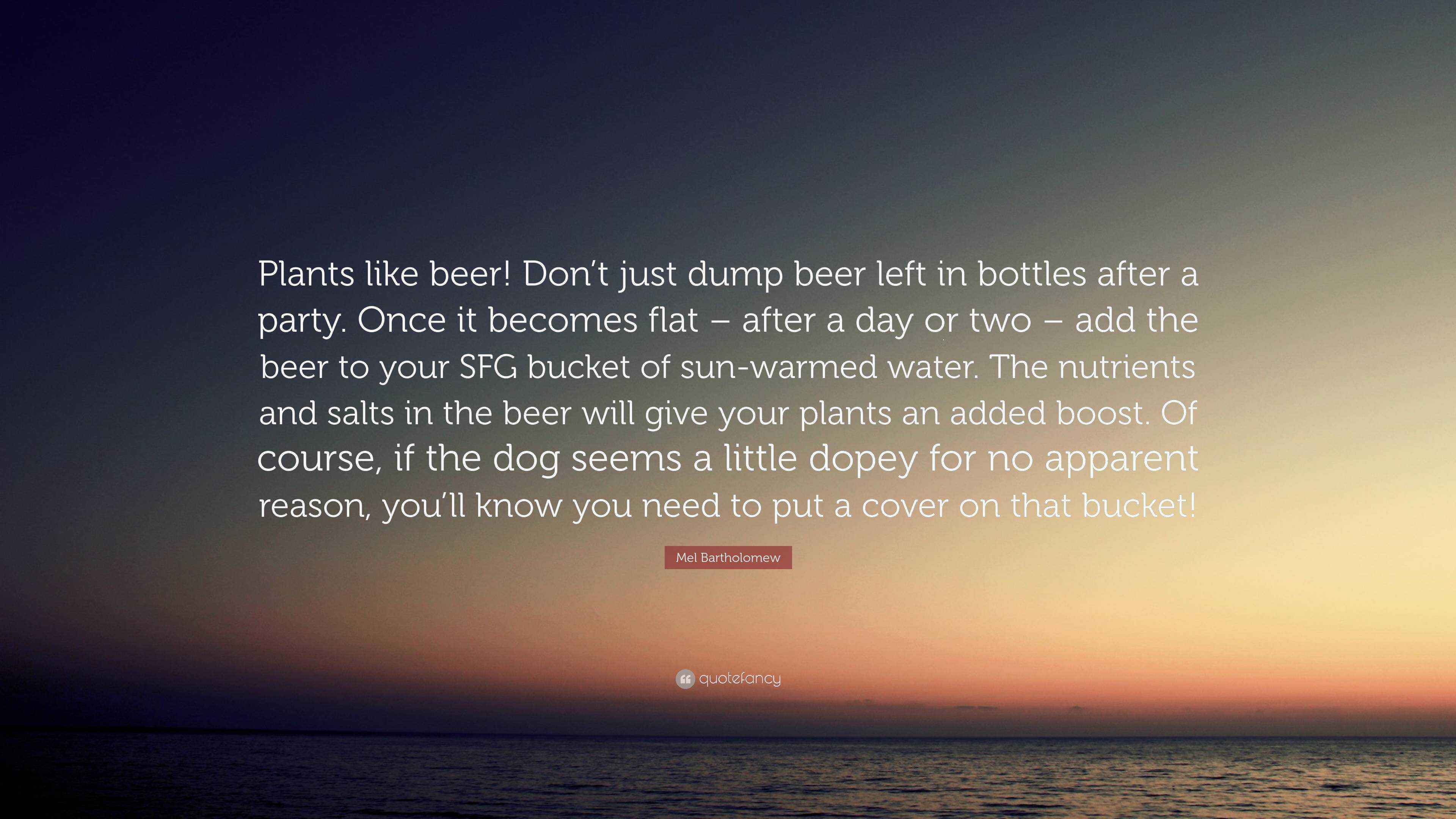 Mel Bartholomew Quote: “Plants like beer! Don’t just dump beer left in ...