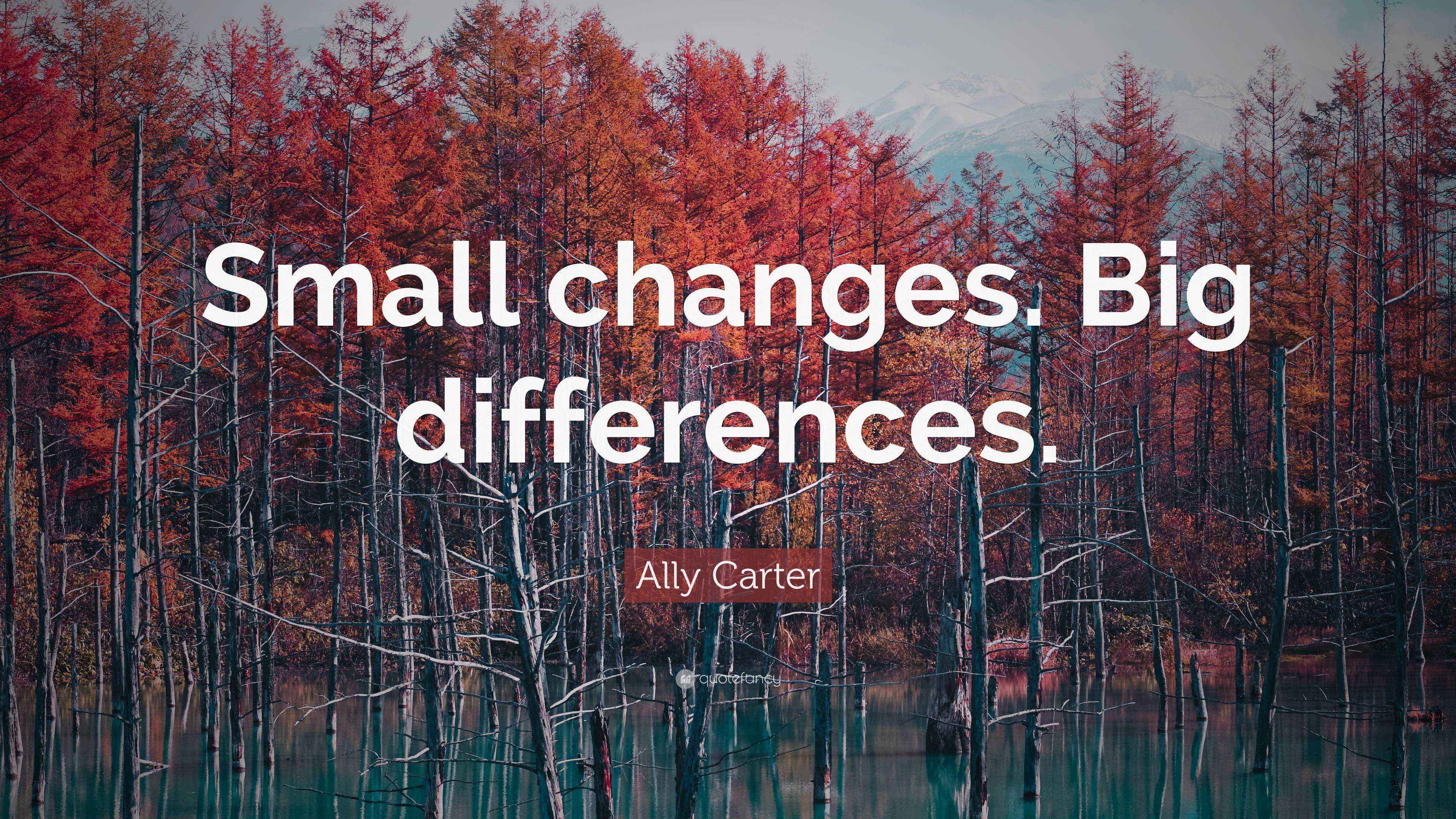 Ally Carter Quote: “Small changes. Big differences.”