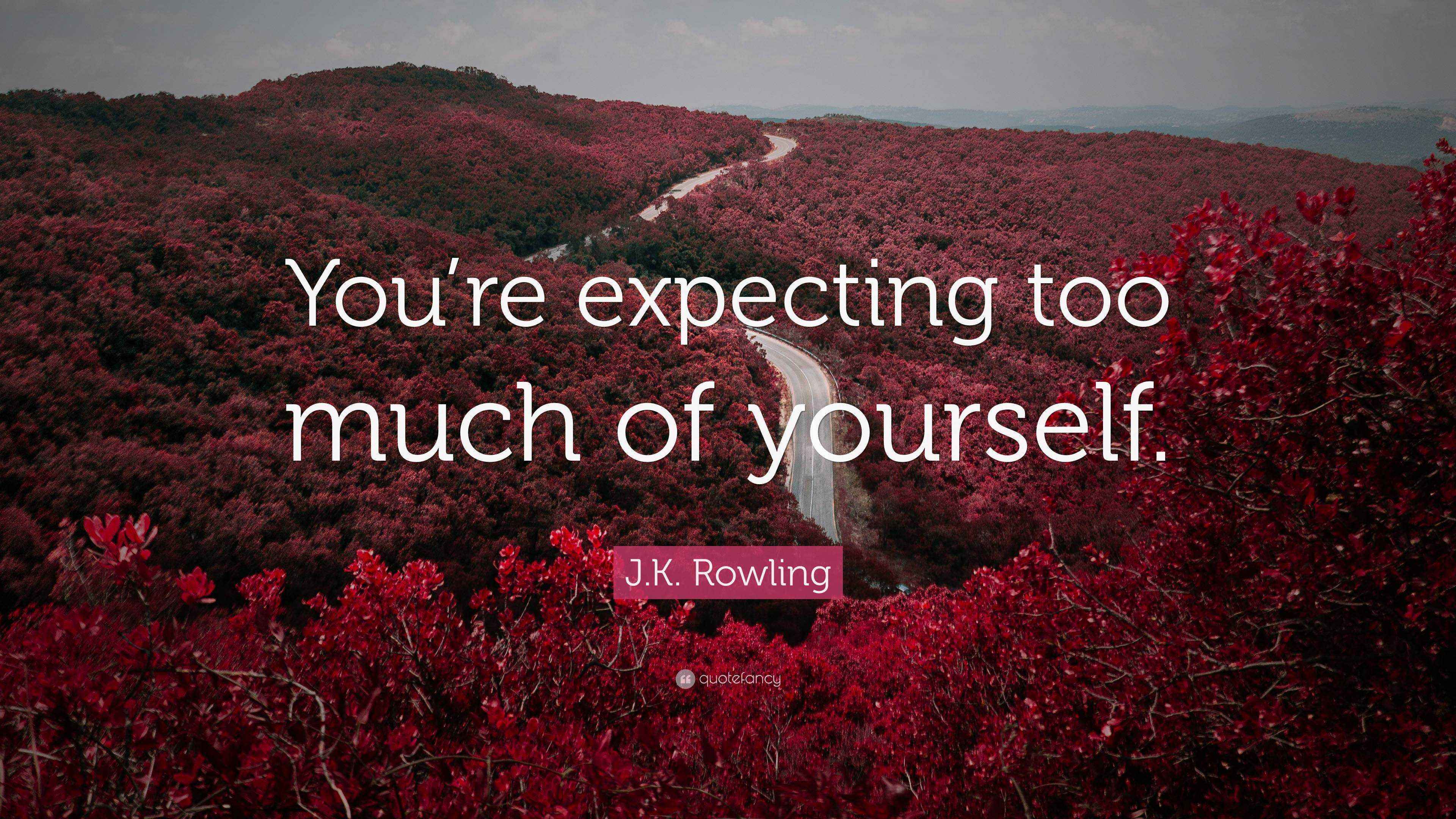 J.K. Rowling Quote: “You’re expecting too much of yourself.”