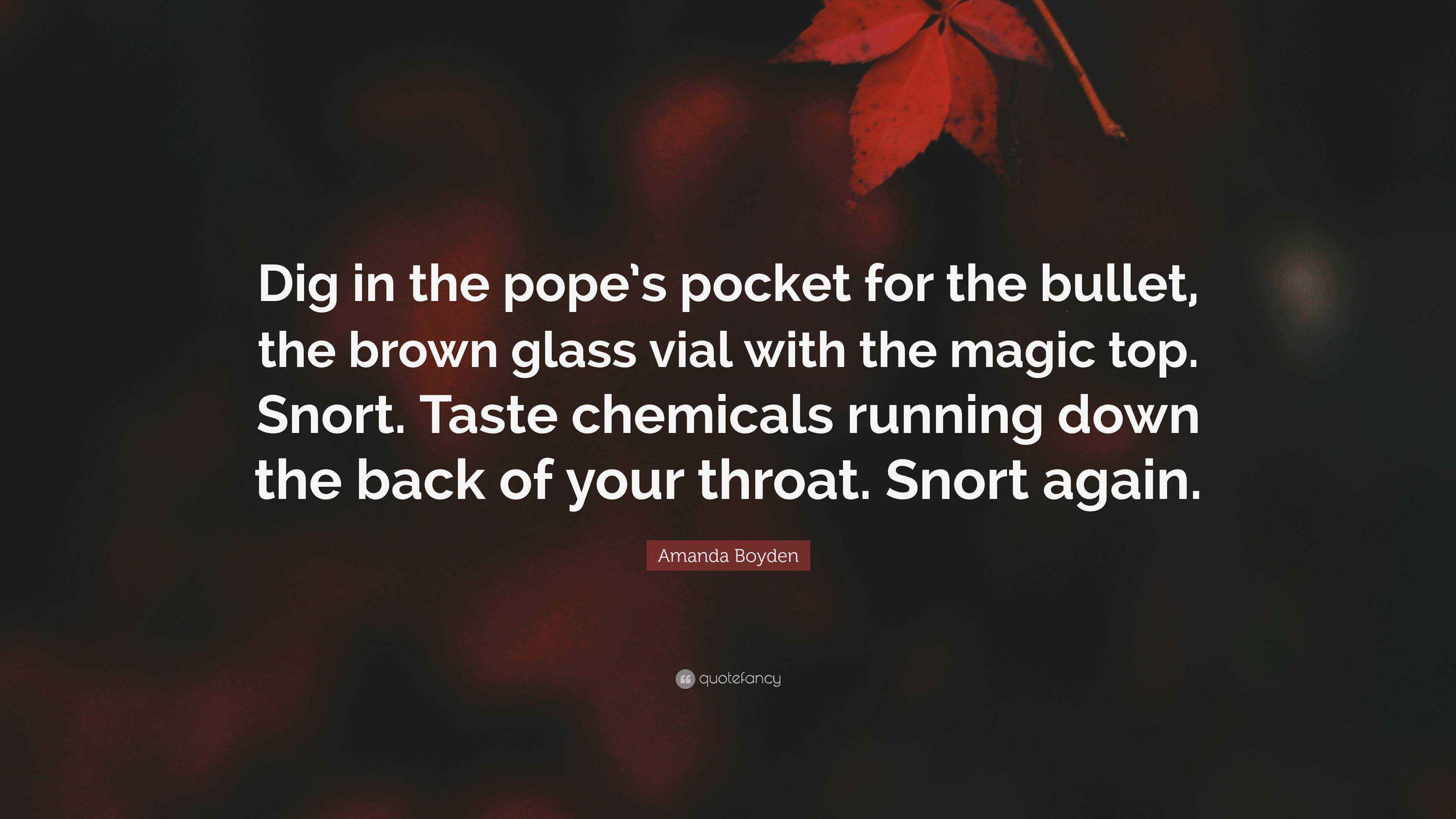 Amanda Boyden Quote: “Dig in the pope’s pocket for the bullet, the ...