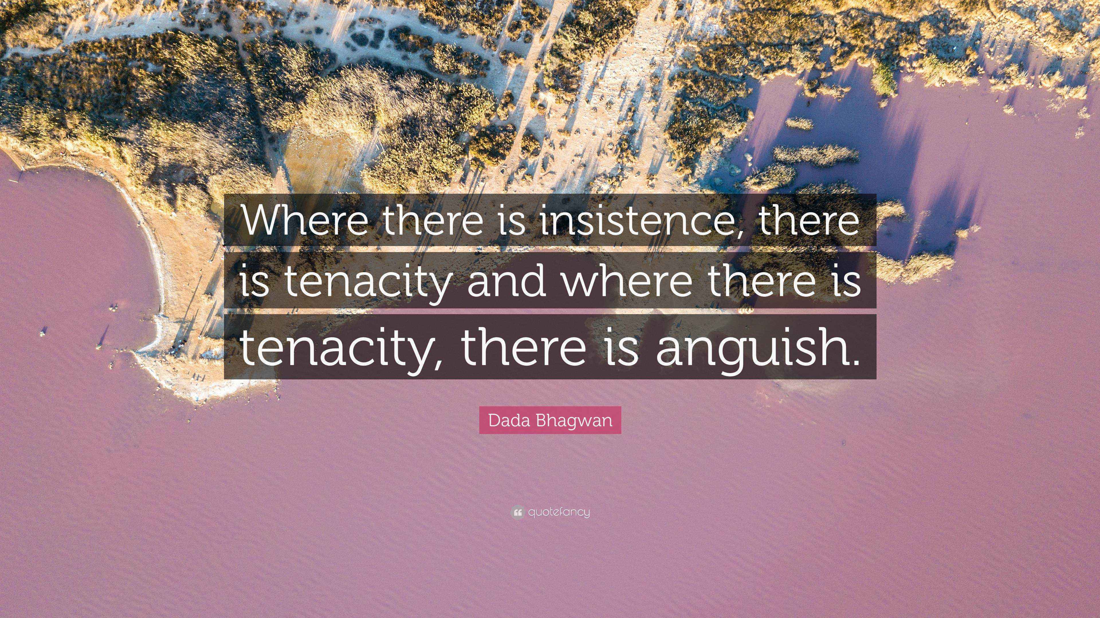 Dada Bhagwan Quote: “Where there is insistence, there is tenacity and ...