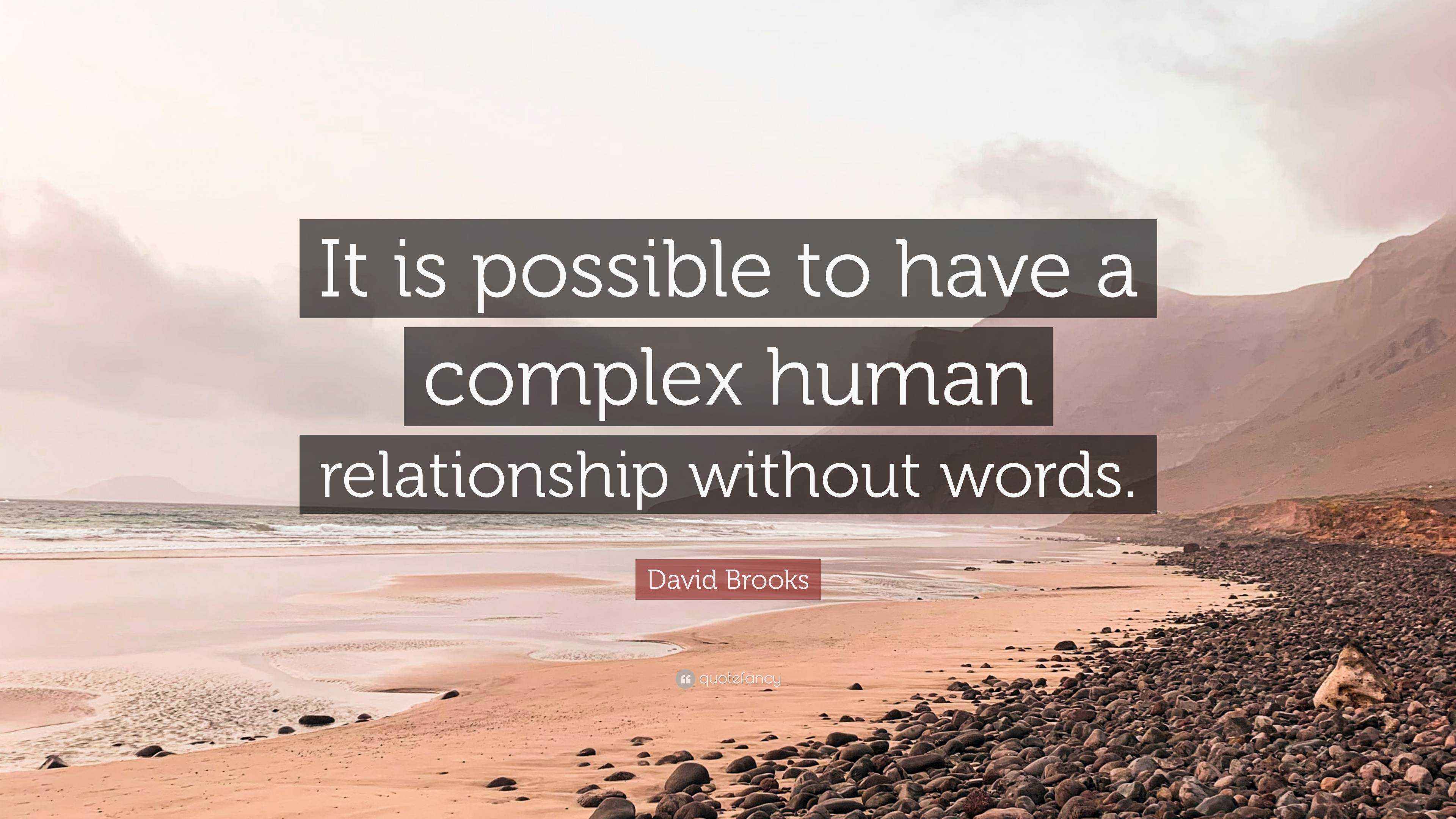 David Brooks Quote: “It is possible to have a complex human ...