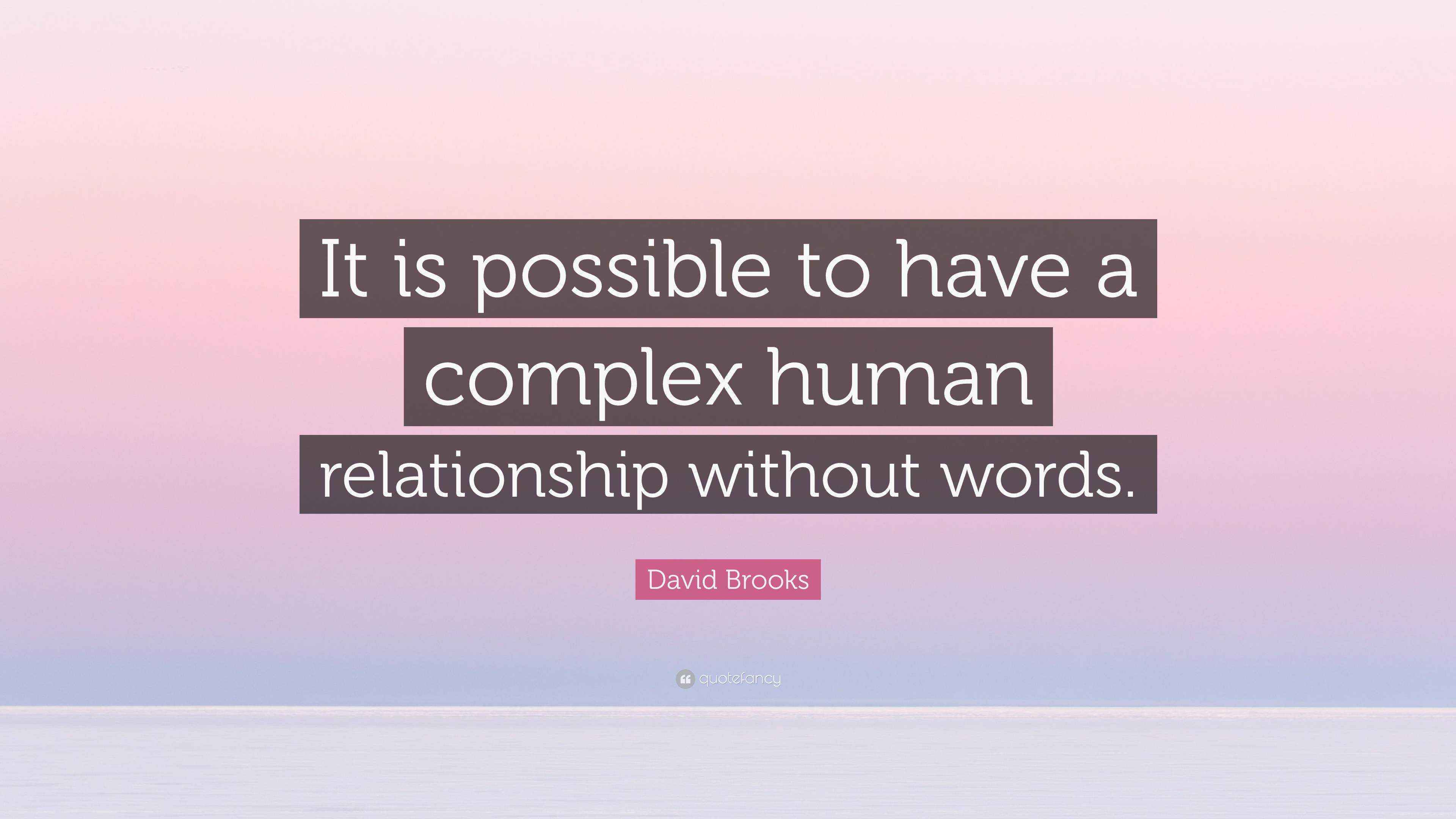 David Brooks Quote: “It is possible to have a complex human ...