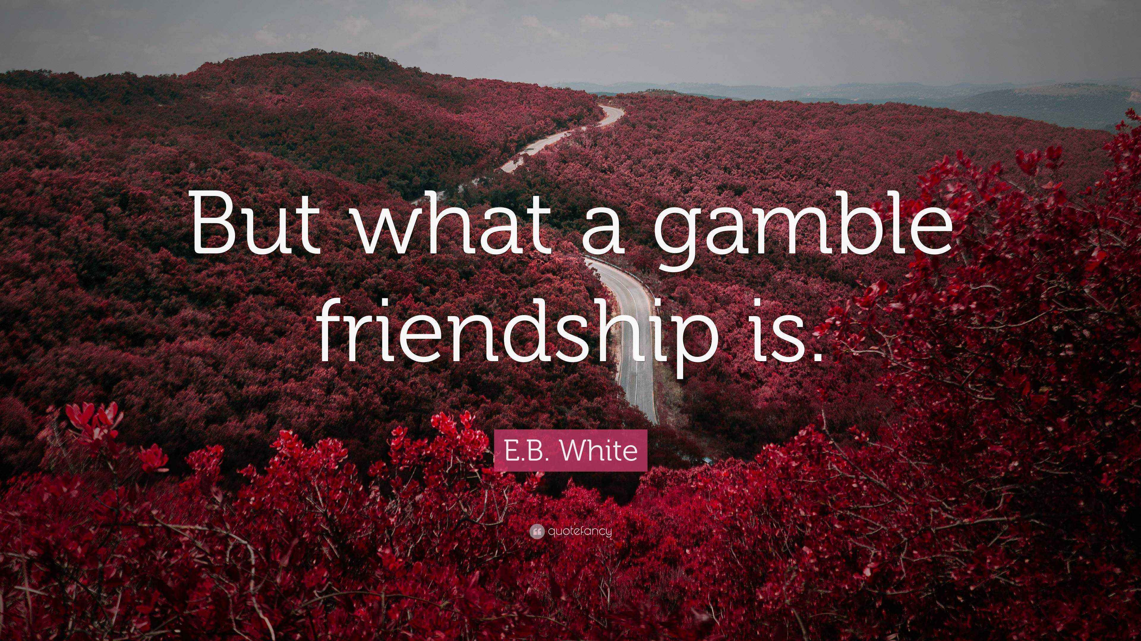 E.B. White Quote: “But what a gamble friendship is.”