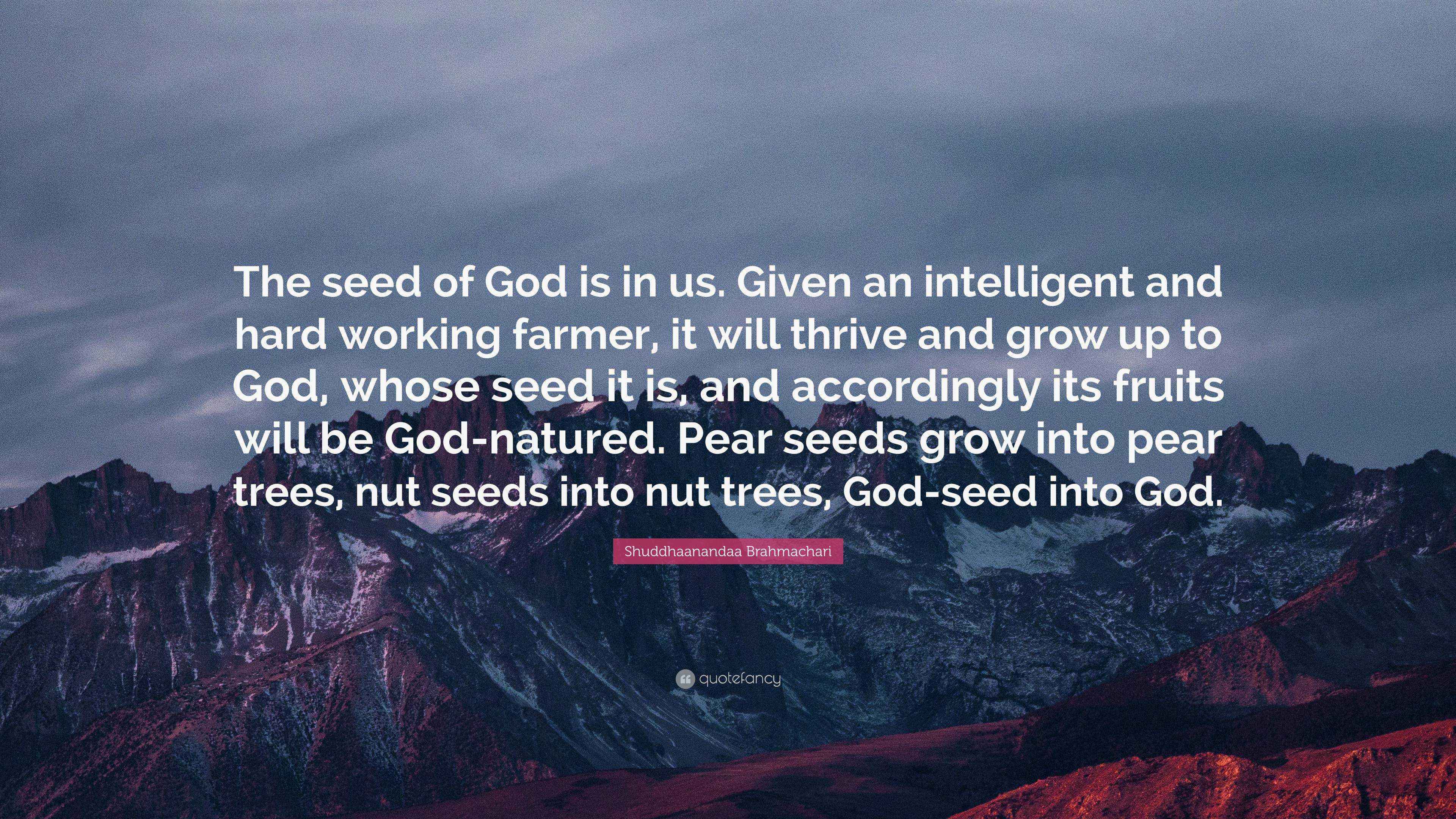 Shuddhaanandaa Brahmachari Quote: “The seed of God is in us. Given an ...