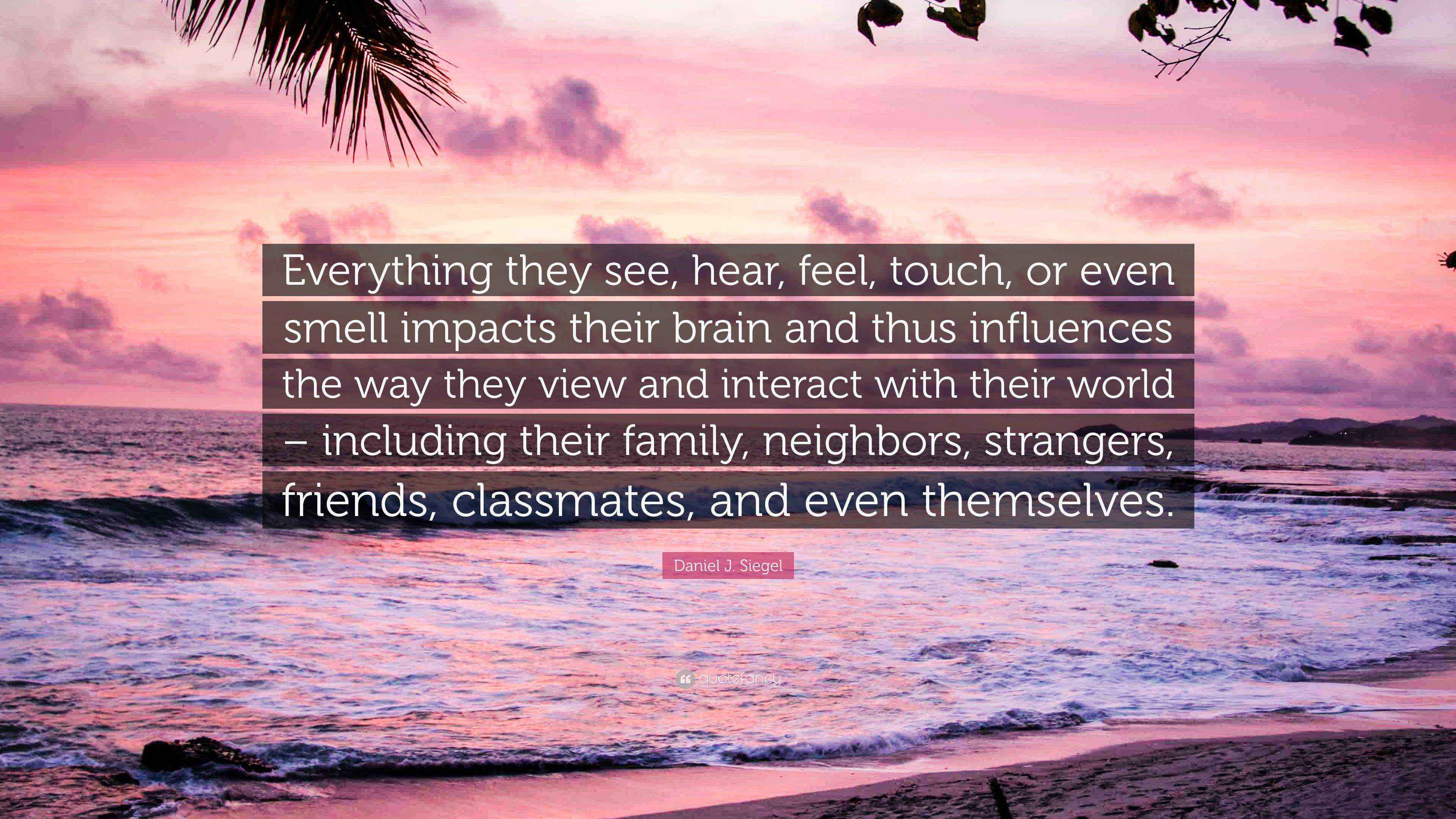 Daniel J. Siegel Quote: “Everything they see, hear, feel, touch, or ...