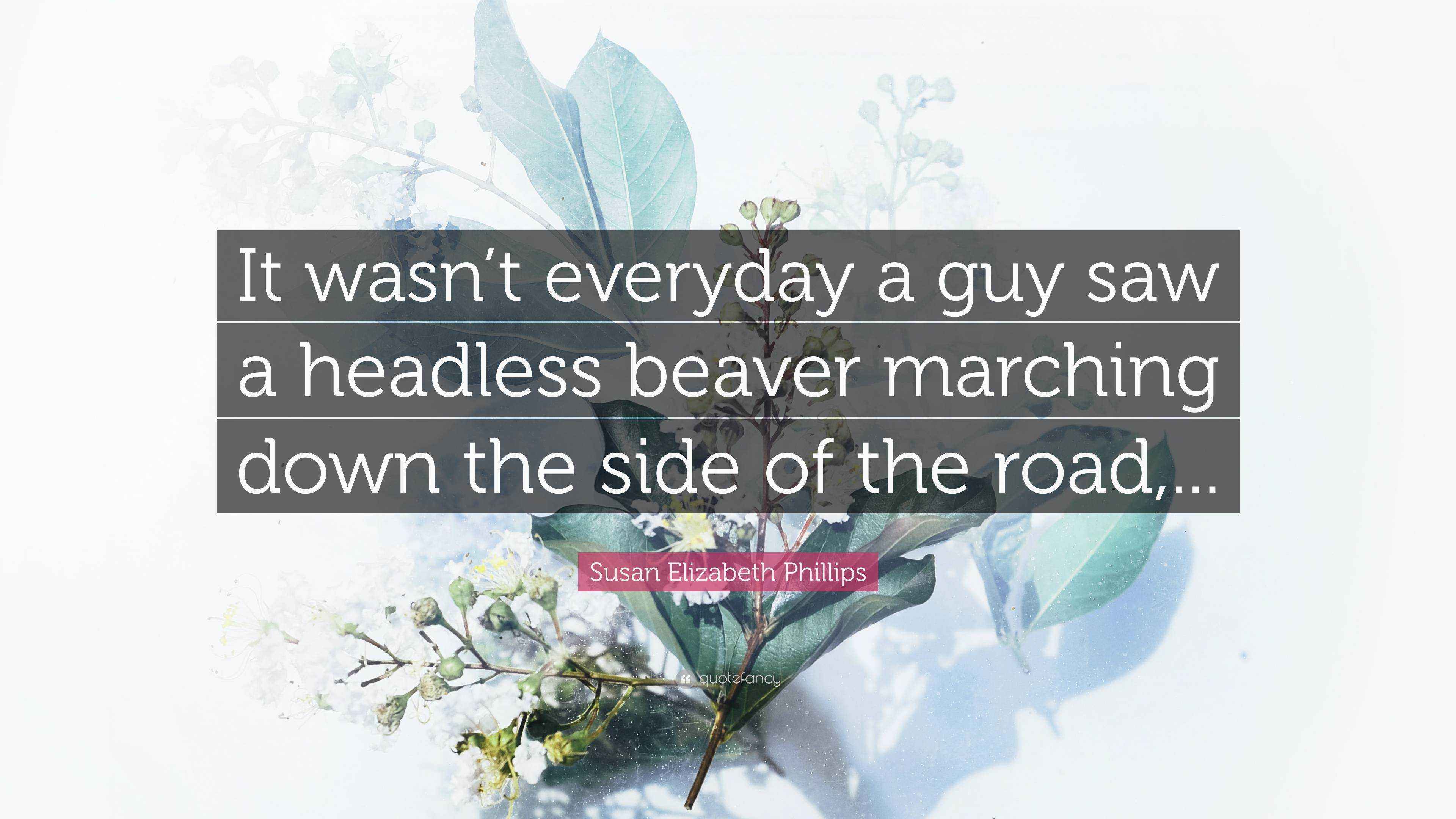 Susan Elizabeth Phillips Quote: “It wasn’t everyday a guy saw a ...