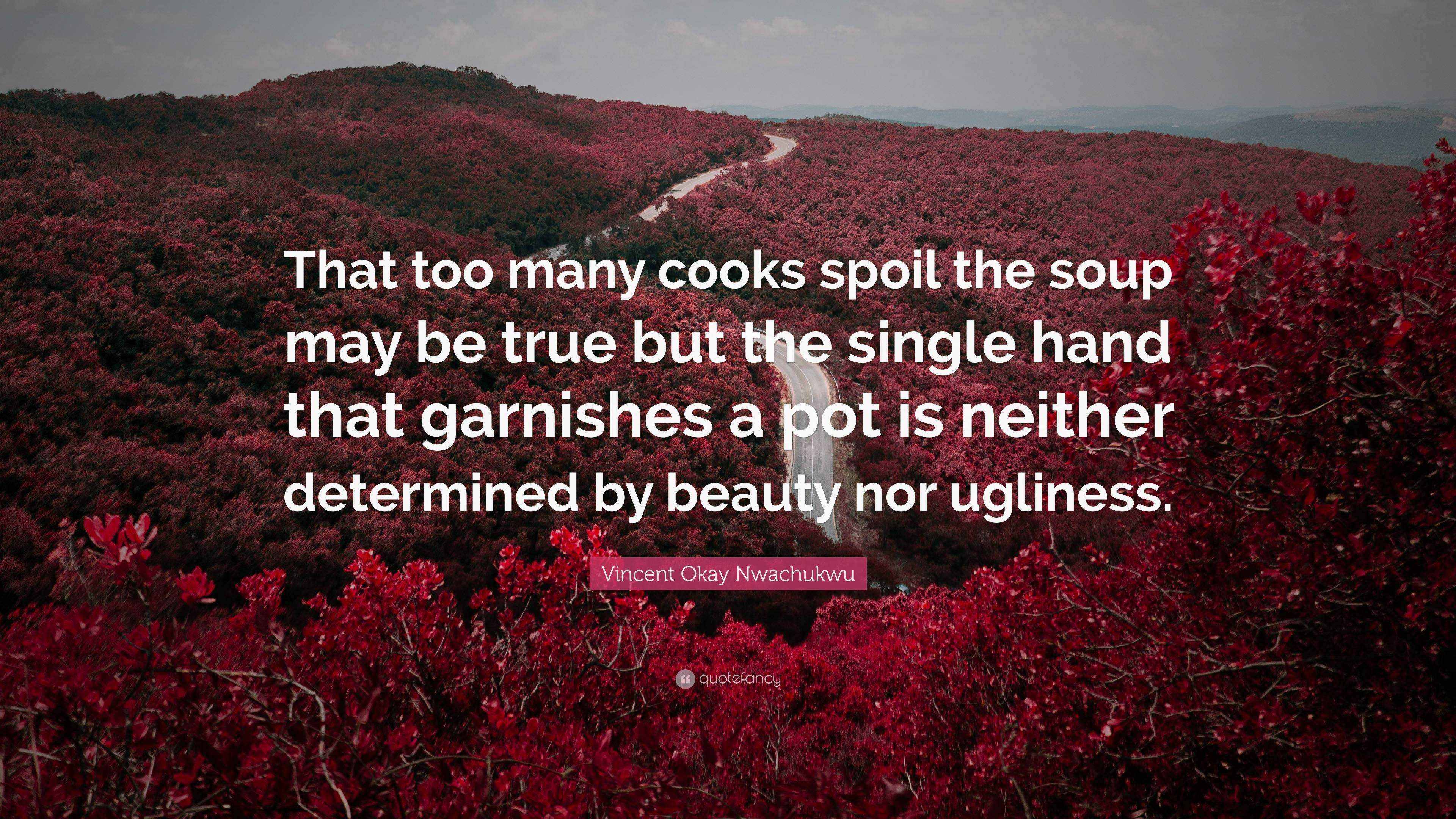 Vincent Okay Nwachukwu Quote: “That too many cooks spoil the soup may ...