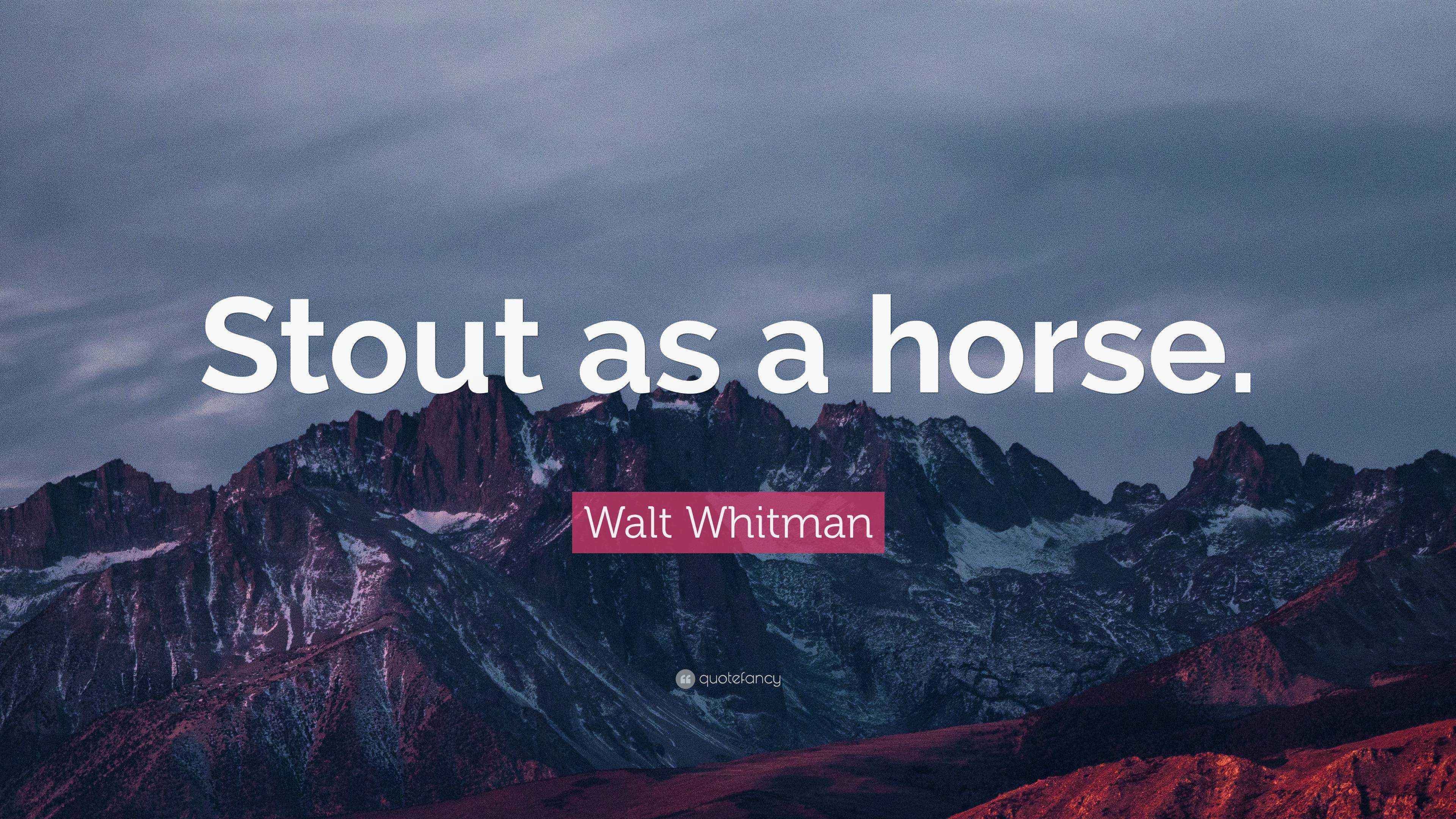 Walt Whitman Quote: “Stout as a horse.”