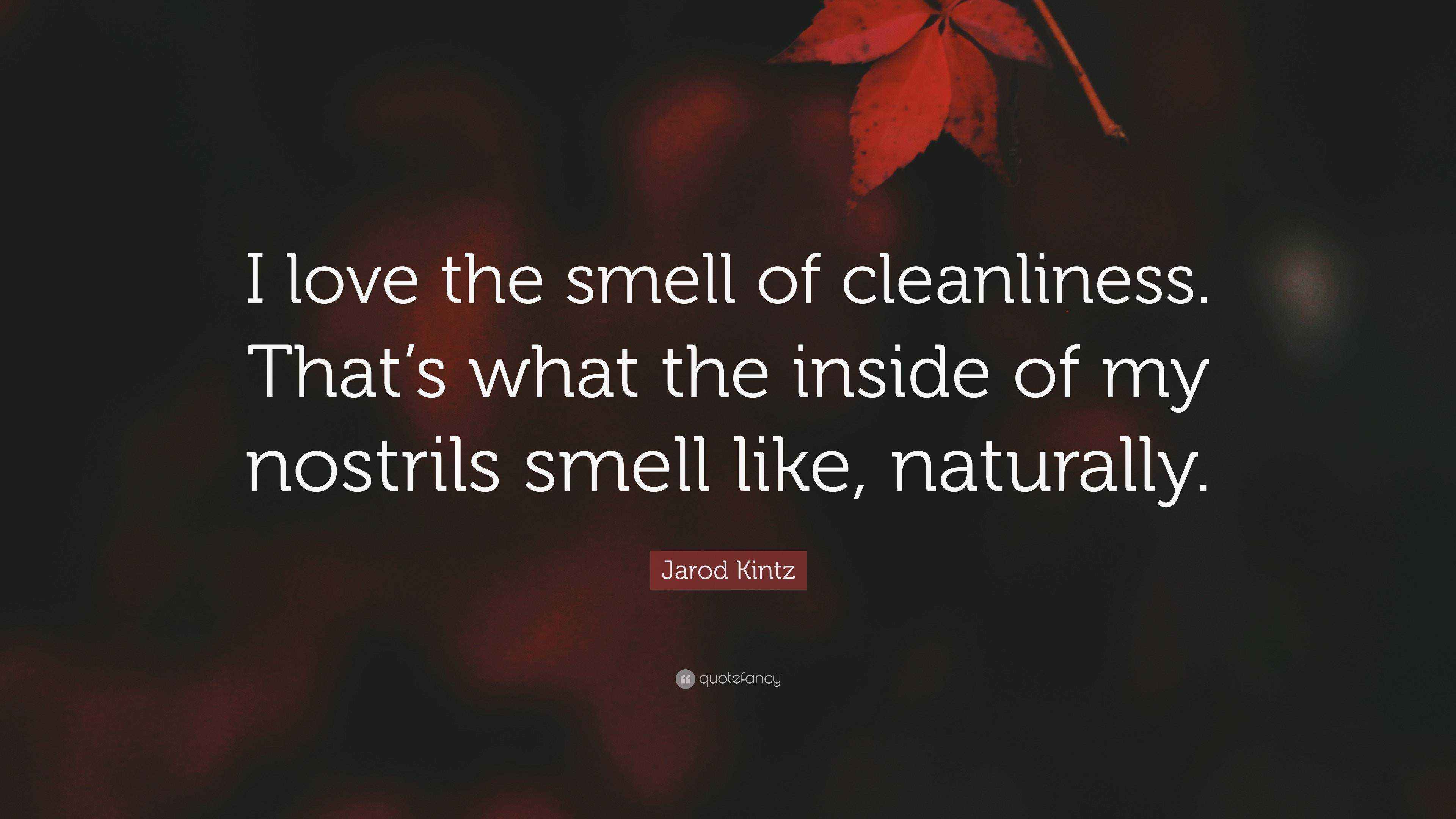 Jarod Kintz Quote: “I love the smell of cleanliness. That’s what the ...