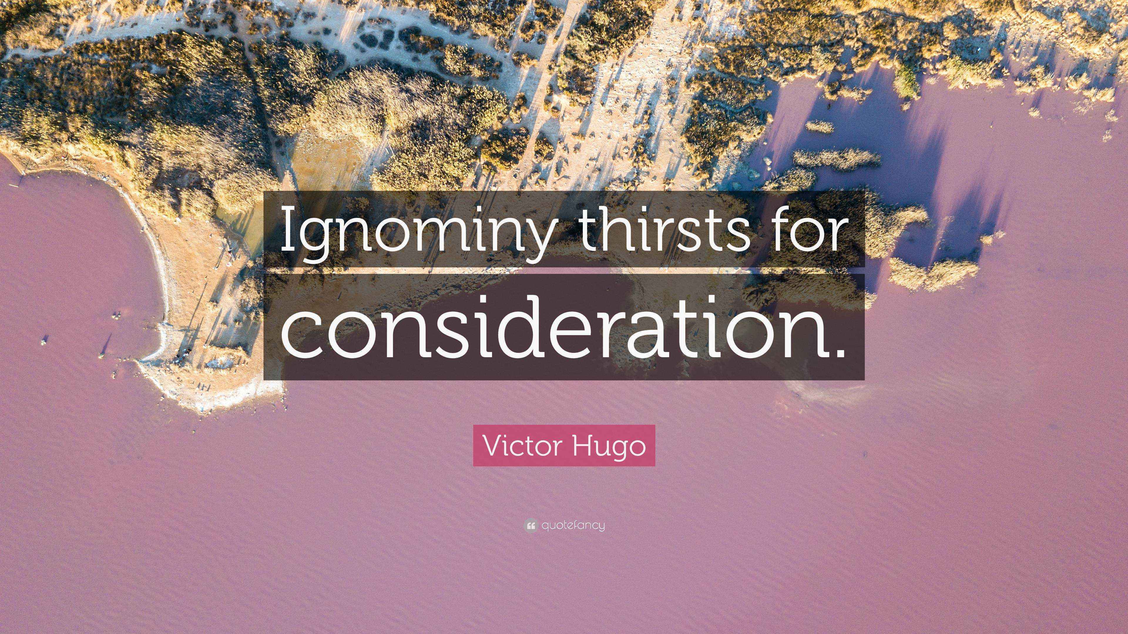 Victor Hugo Quote: “Ignominy thirsts for consideration.”