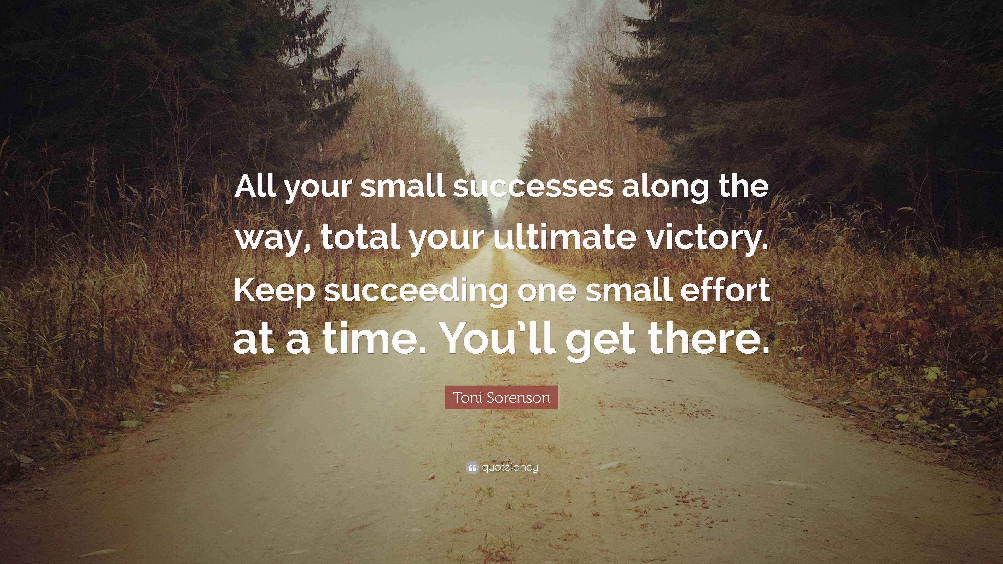 Toni Sorenson Quote: “All your small successes along the way, total ...