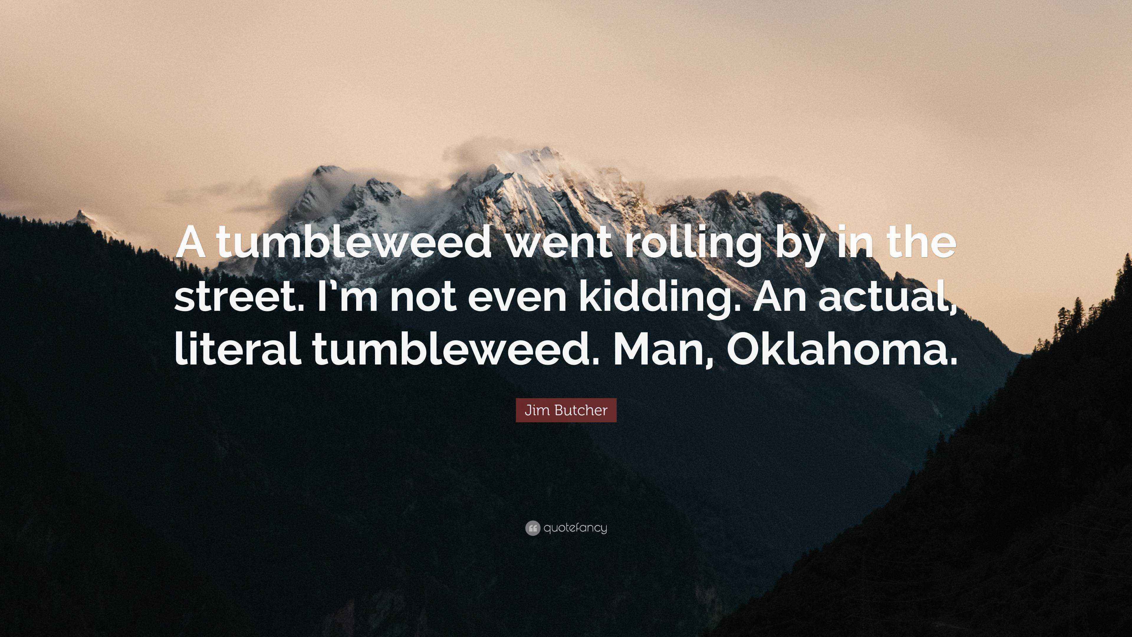Jim Butcher Quote: “A tumbleweed went rolling by in the street. I’m not ...