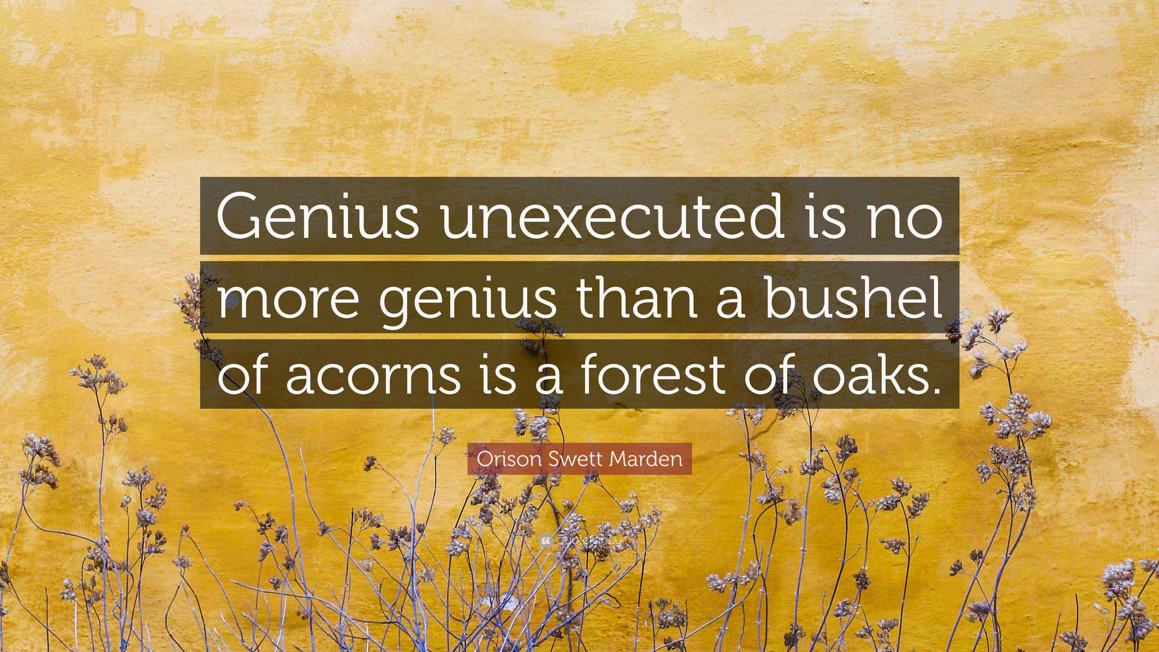 Orison Swett Marden Quote: “Genius unexecuted is no more genius than a ...