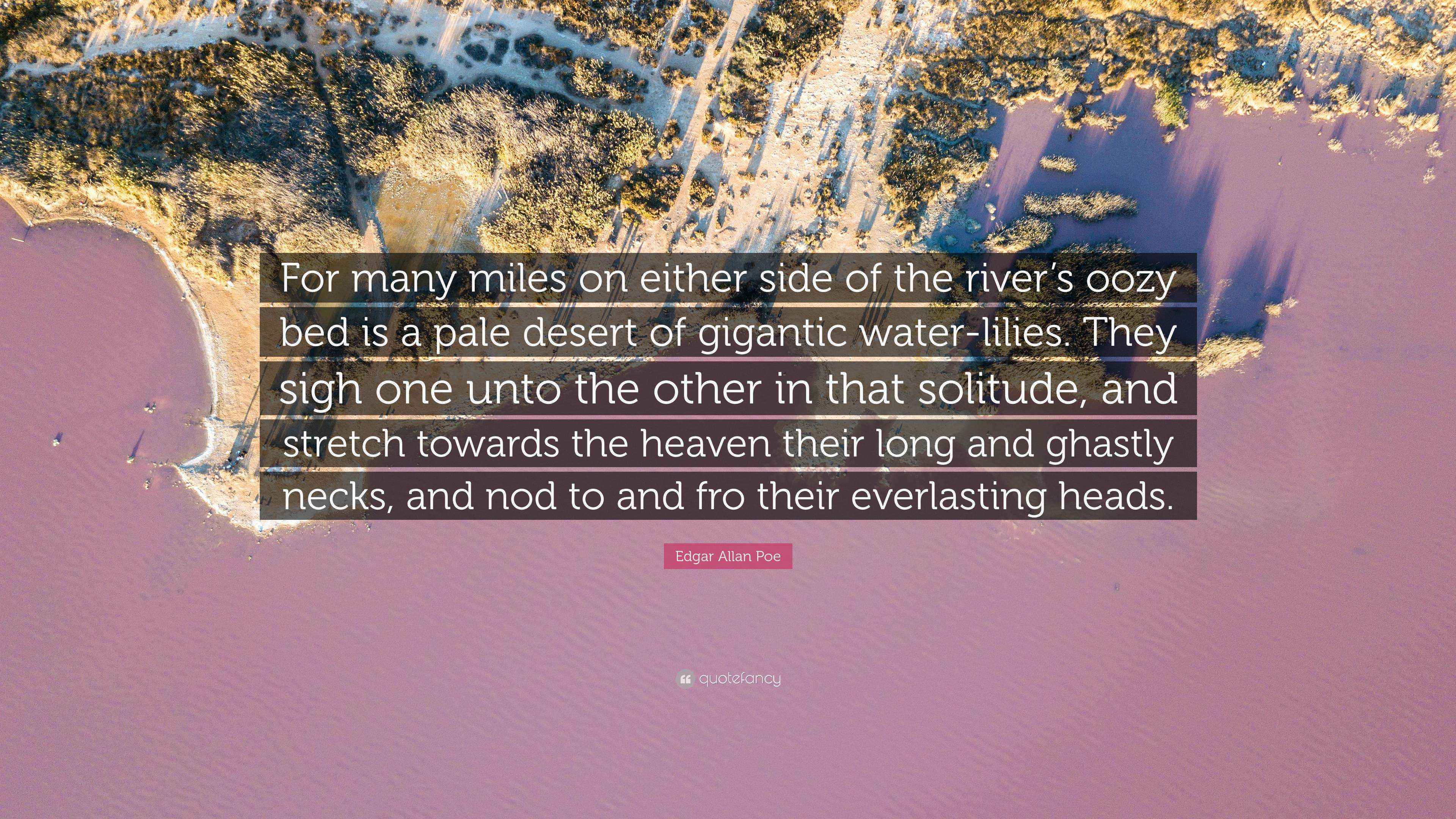 Edgar Allan Poe Quote: “For many miles on either side of the river’s ...