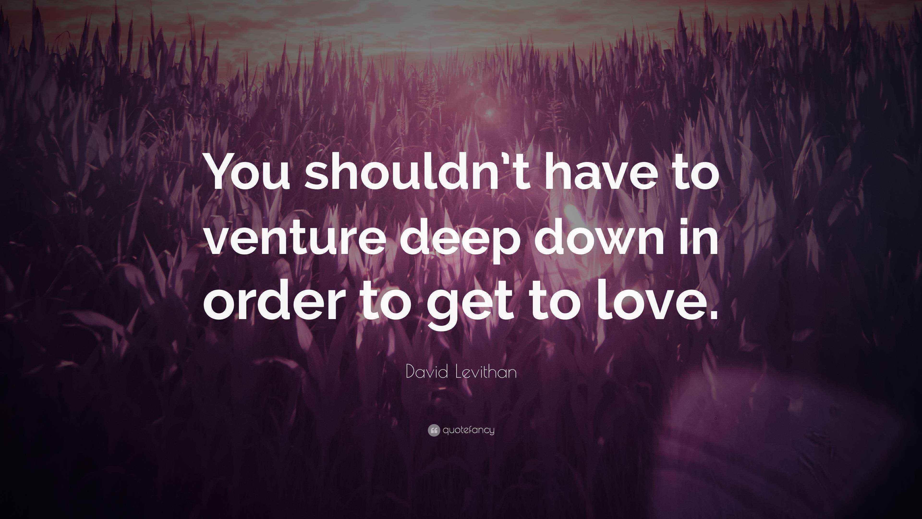 David Levithan Quote: “You shouldn’t have to venture deep down in order ...