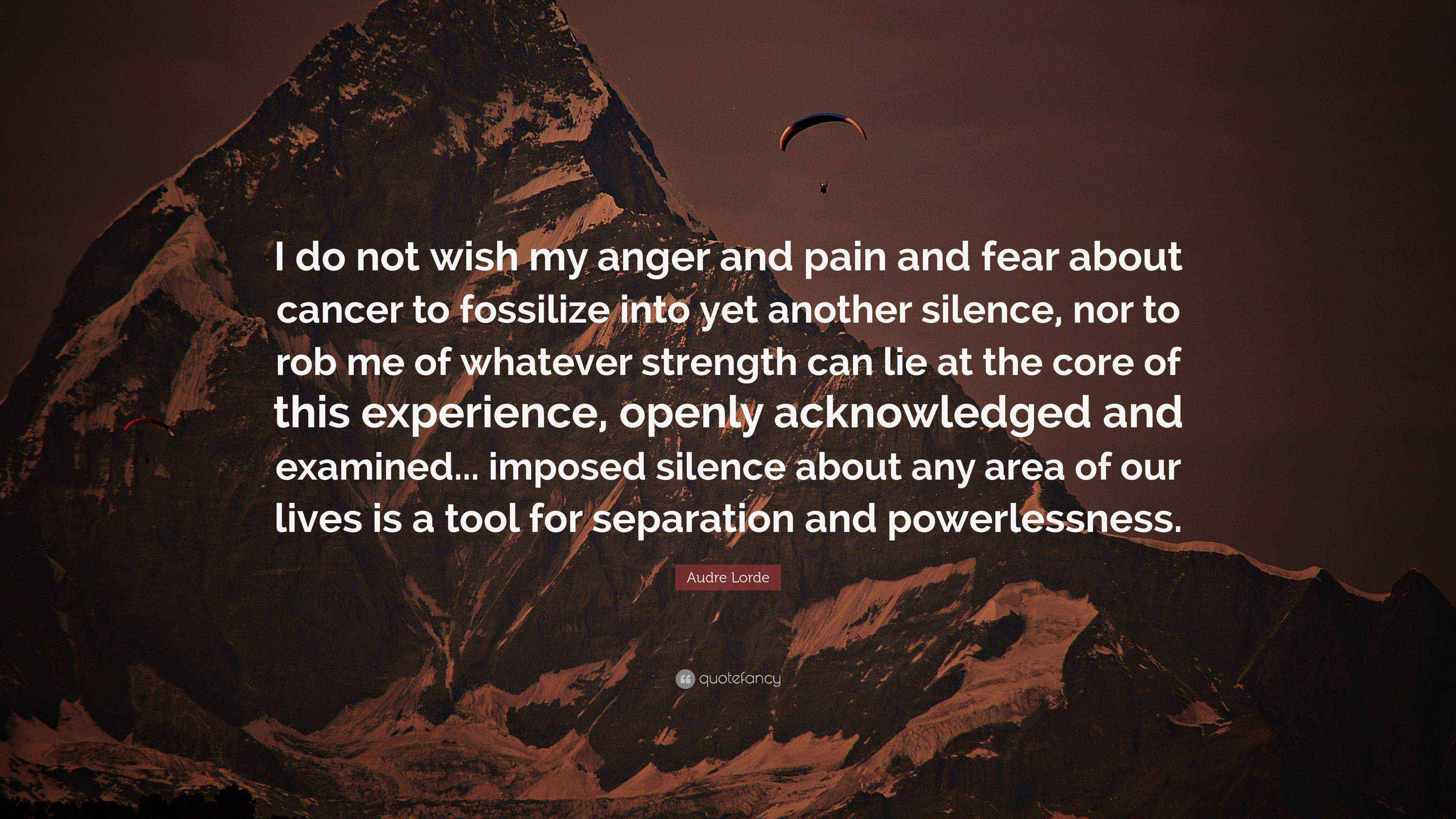 Audre Lorde Quote: “I do not wish my anger and pain and fear about ...