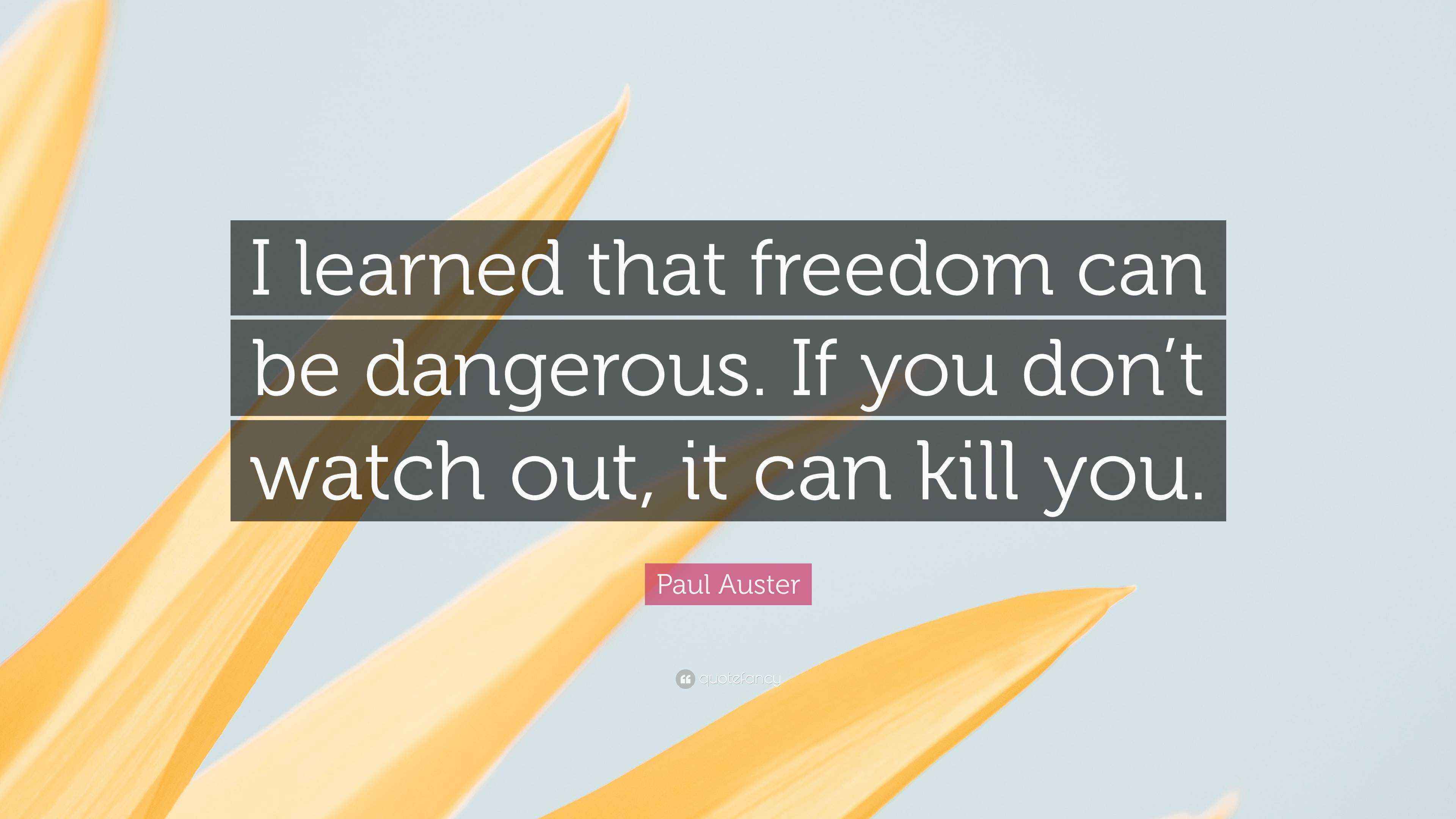 Paul Auster Quote: “I learned that freedom can be dangerous. If you don ...