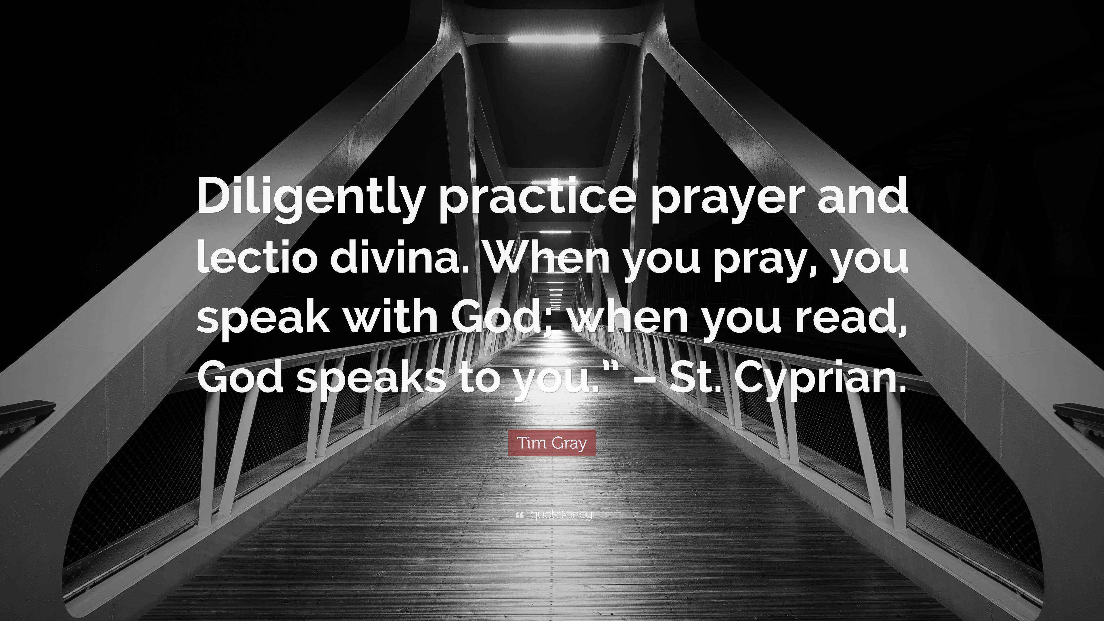 Tim Gray Quote: “Diligently practice prayer and lectio divina. When you ...
