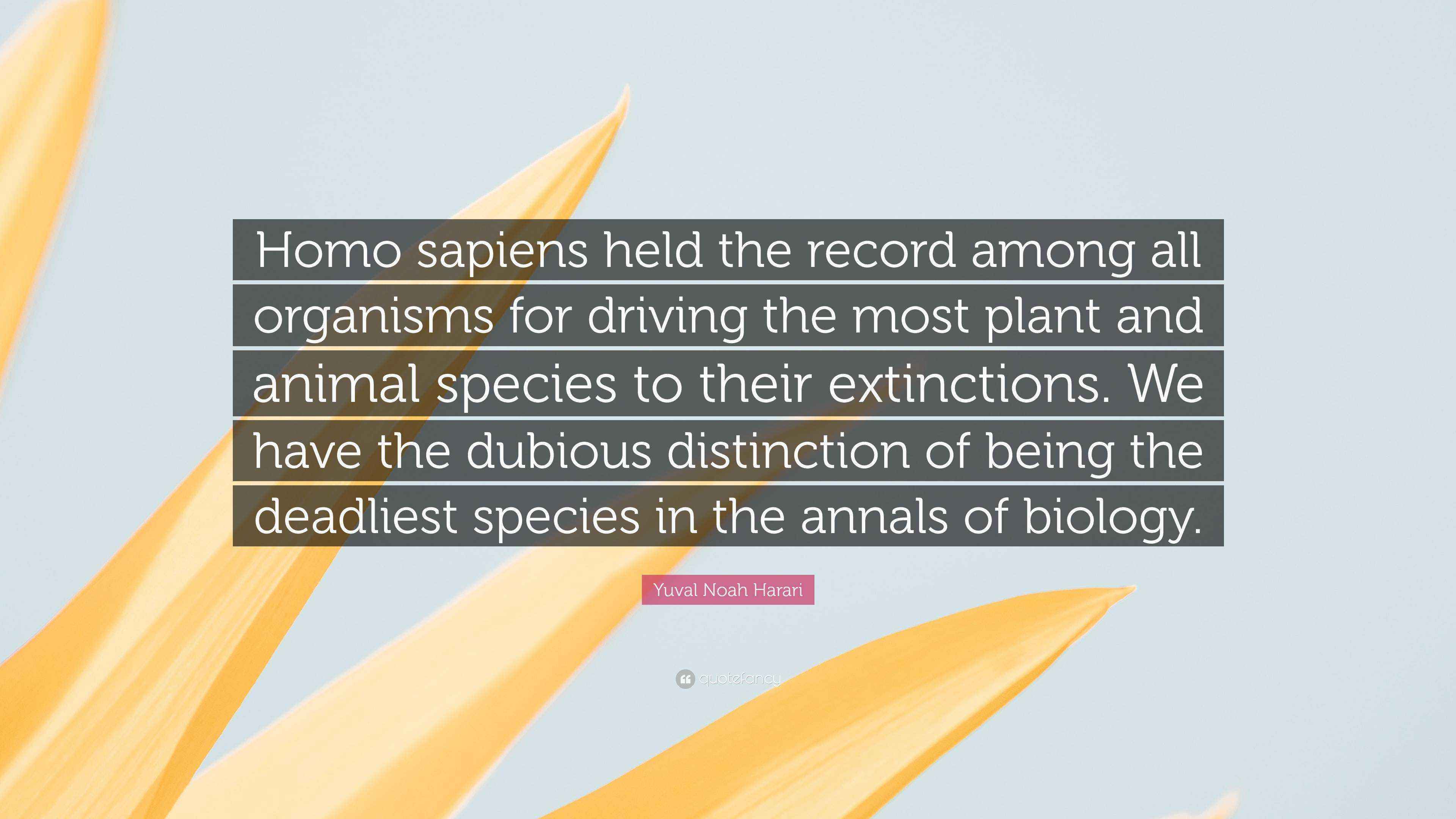 Yuval Noah Harari Quote: “Homo sapiens held the record among all ...