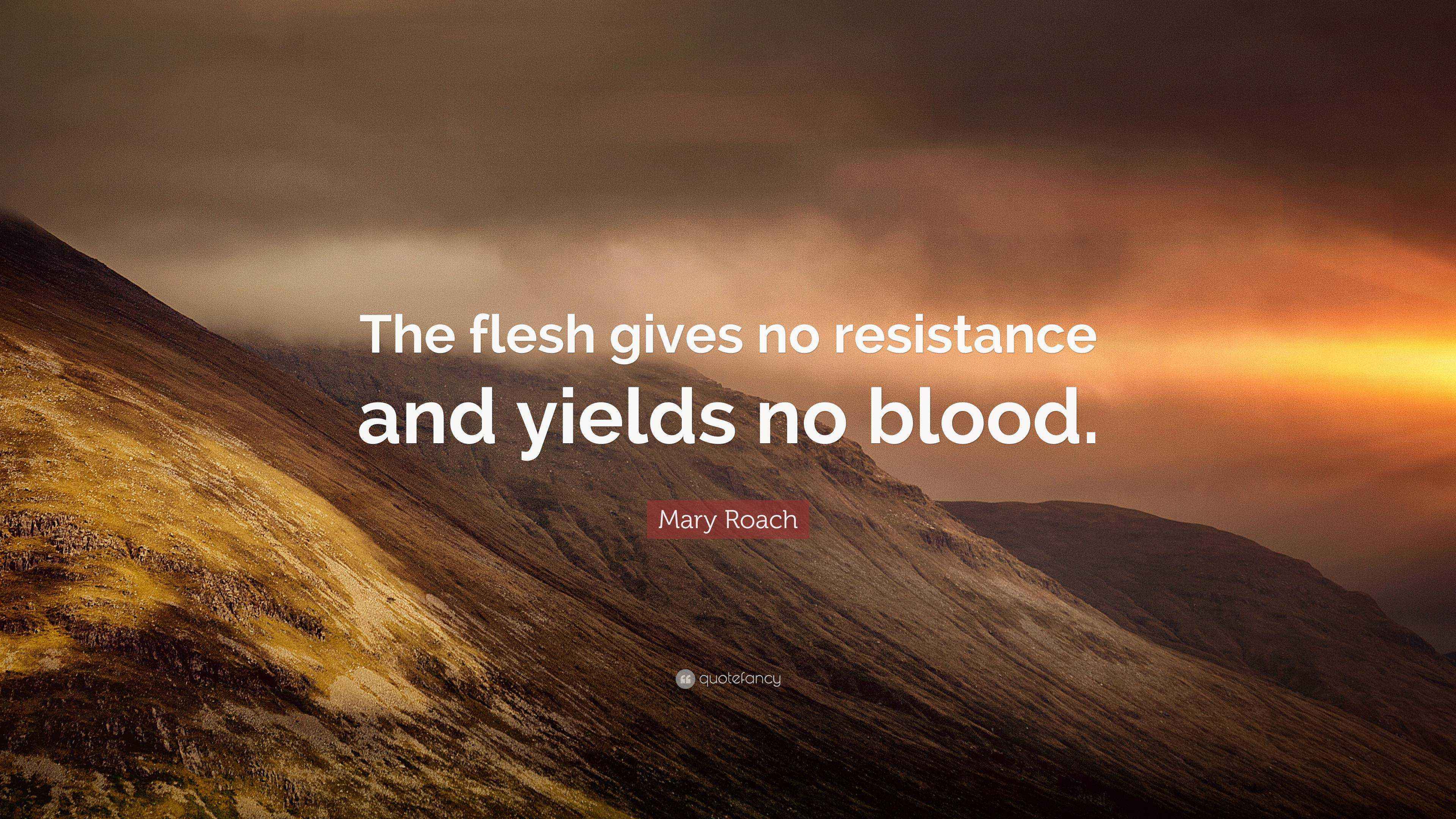 Mary Roach Quote: “The flesh gives no resistance and yields no blood.”