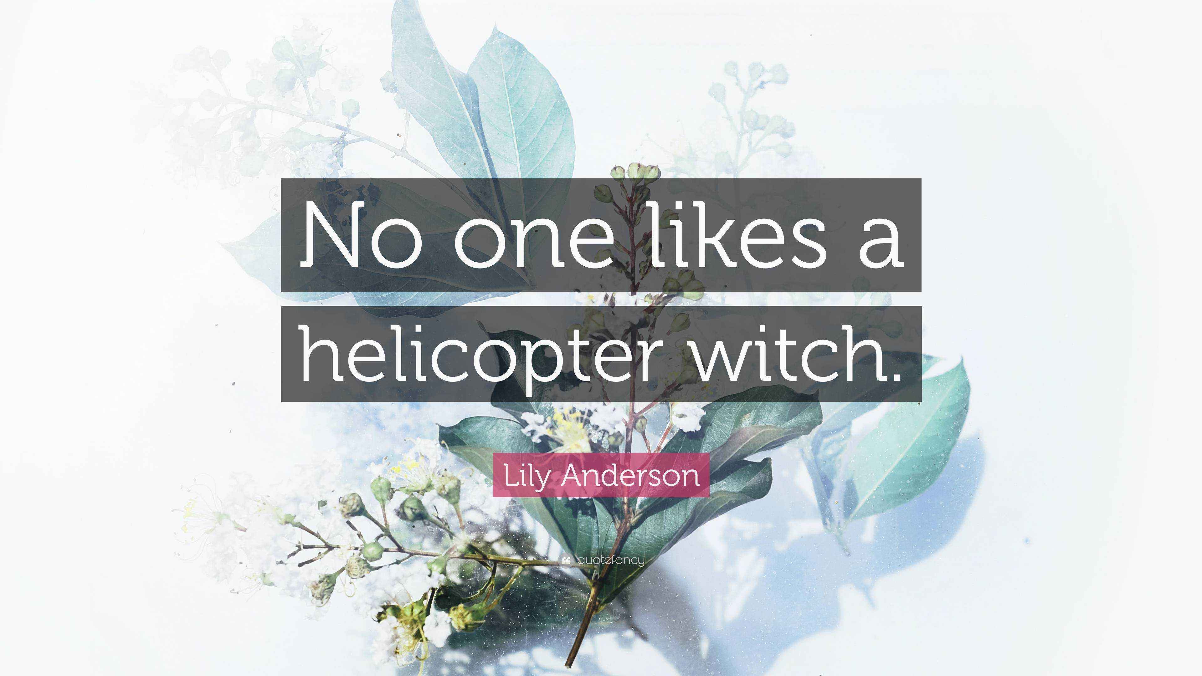 Lily Anderson Quote: “No one likes a helicopter witch.”