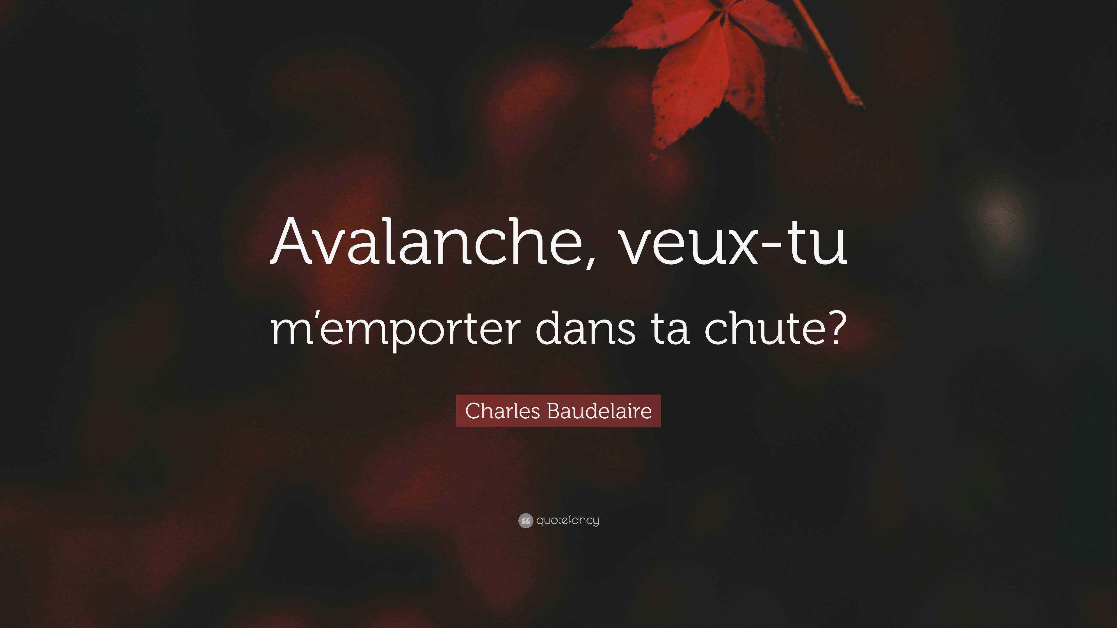 Charles Baudelaire Quote: “Avalanche, veux-tu m’emporter dans ta chute?”