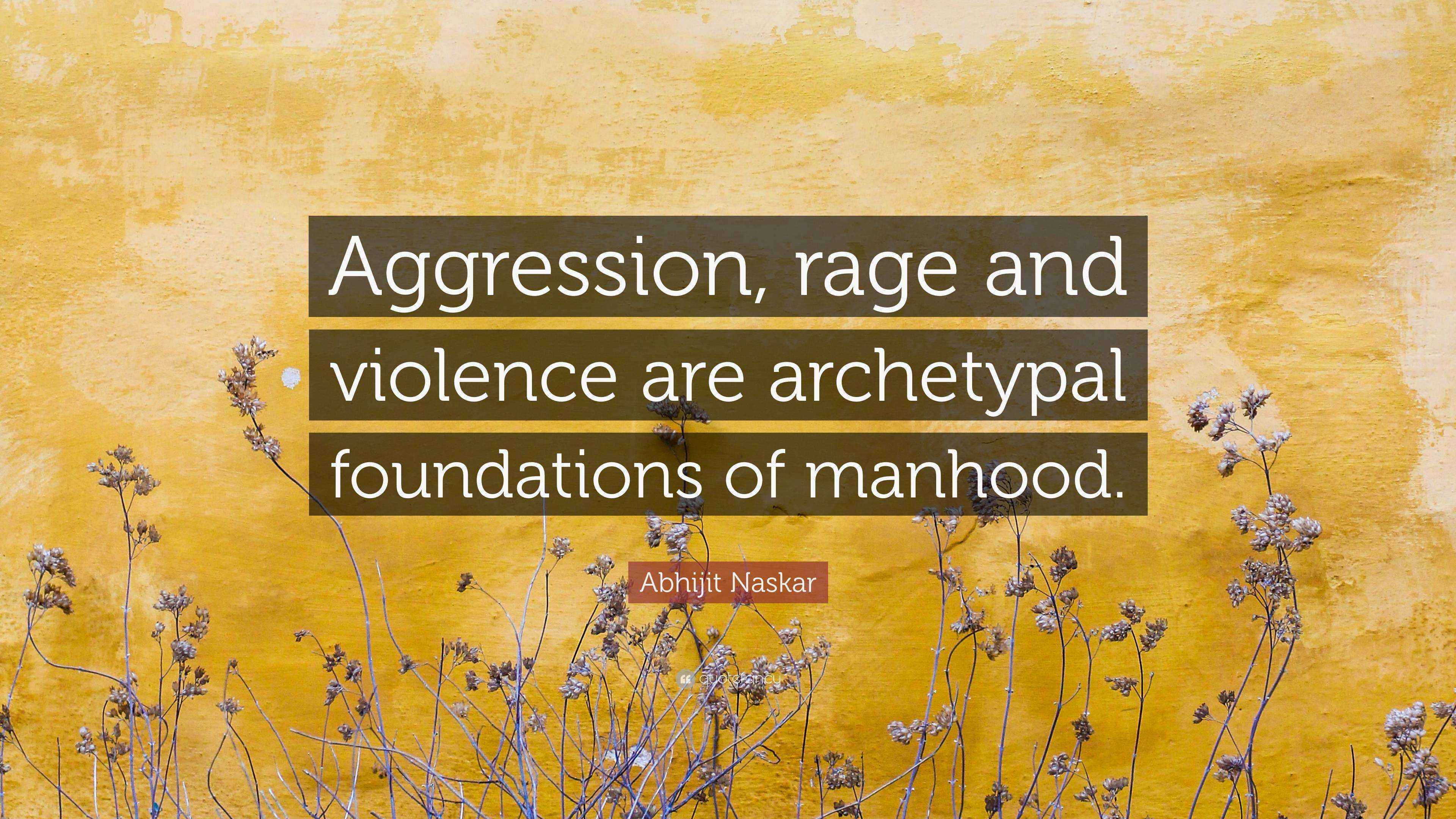 Abhijit Naskar Quote: “Aggression, rage and violence are archetypal ...