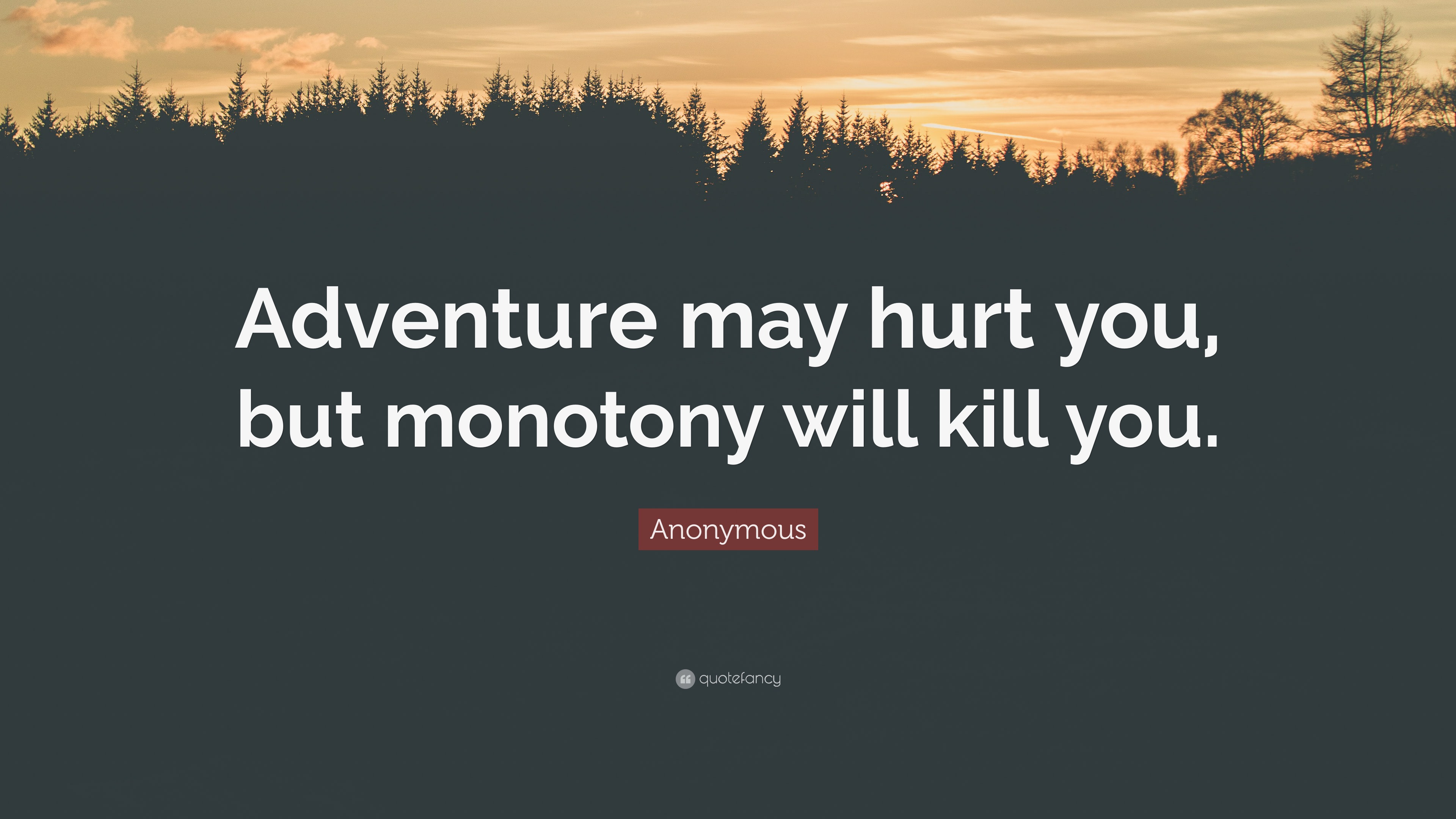 Anonymous Quote: “Adventure may hurt you, but monotony will kill you.”