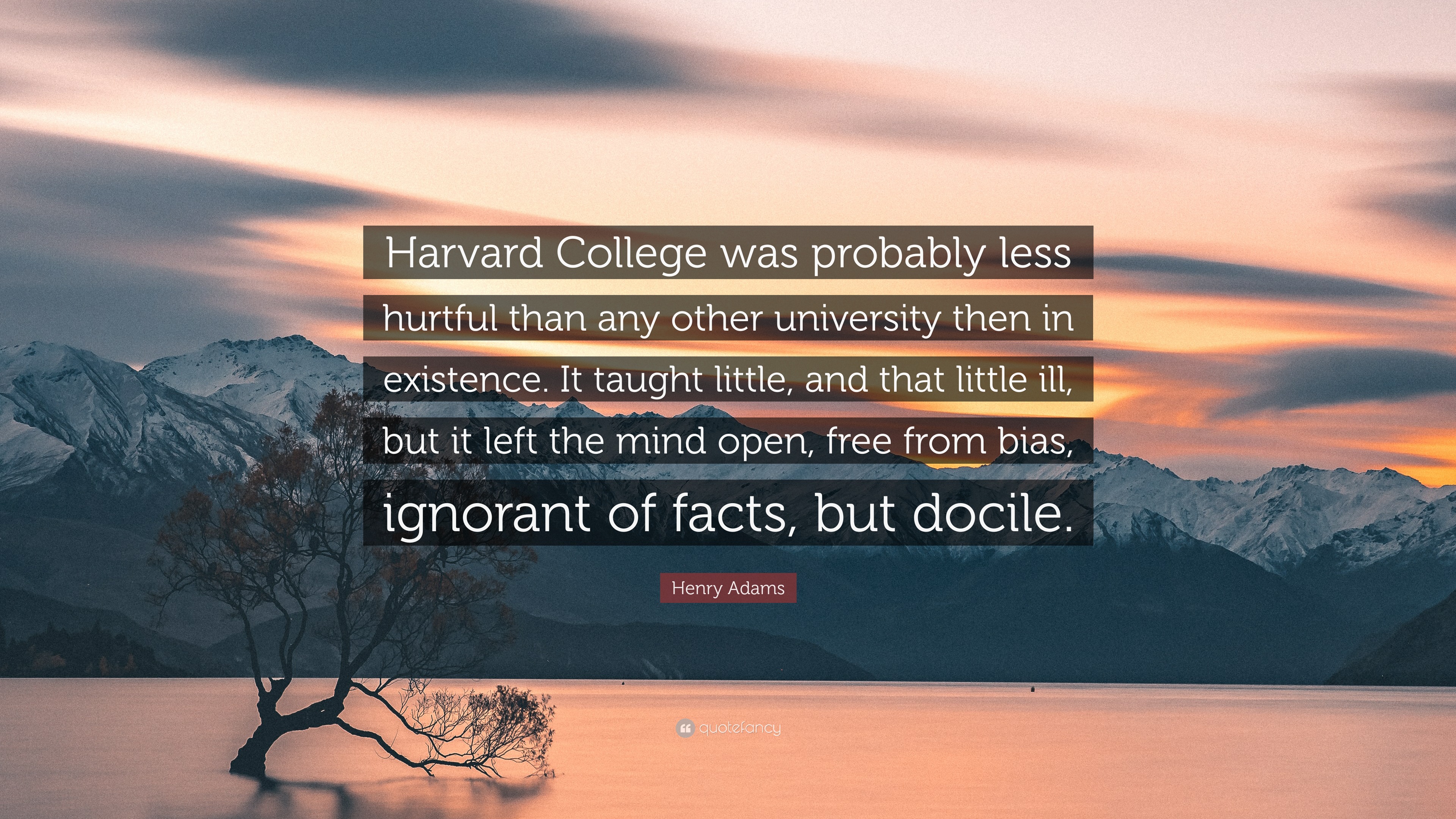 Henry Adams Quote: “Harvard College was probably less hurtful than any ...