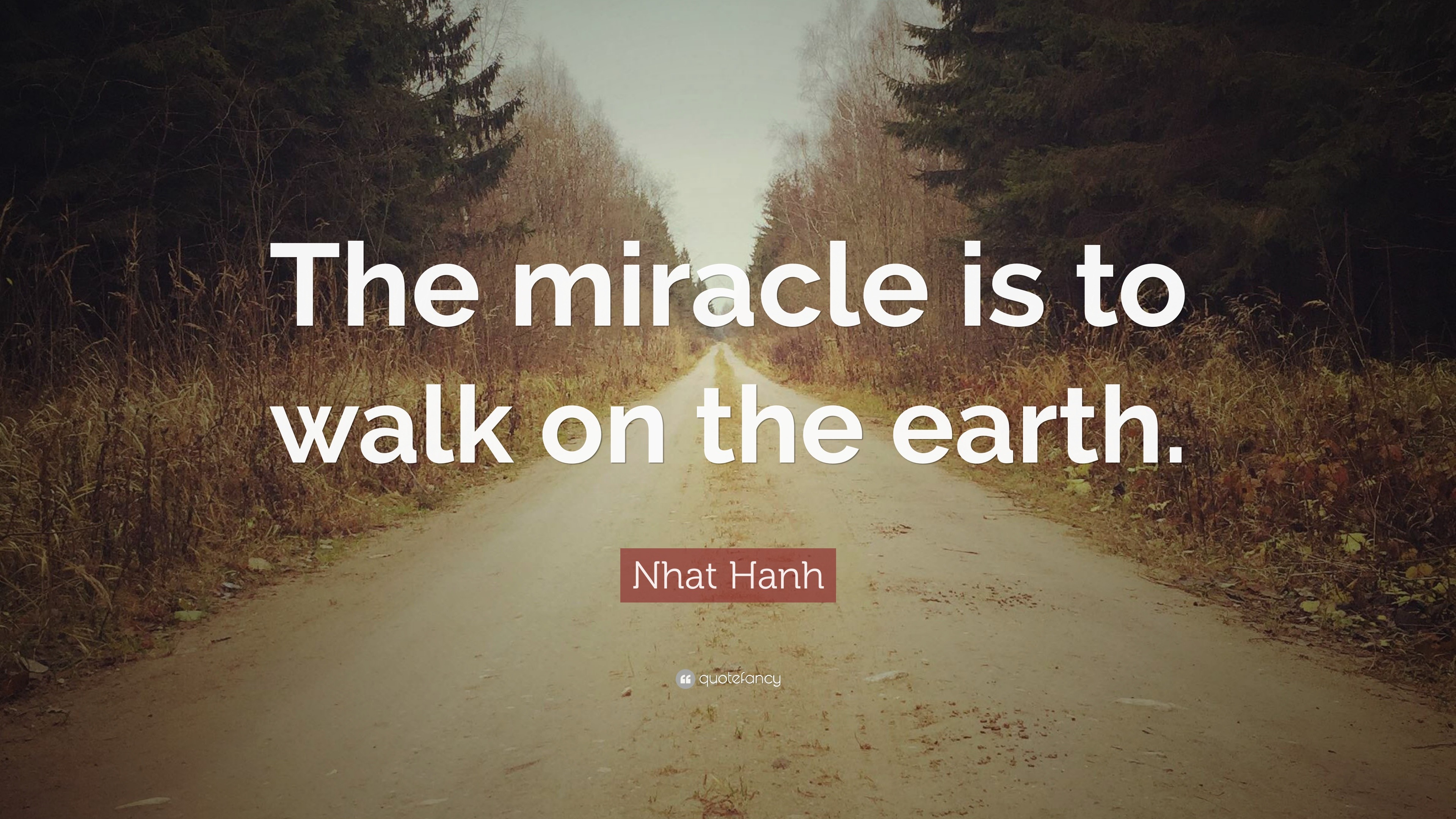 Nhat Hanh Quote: “The miracle is to walk on the earth.”
