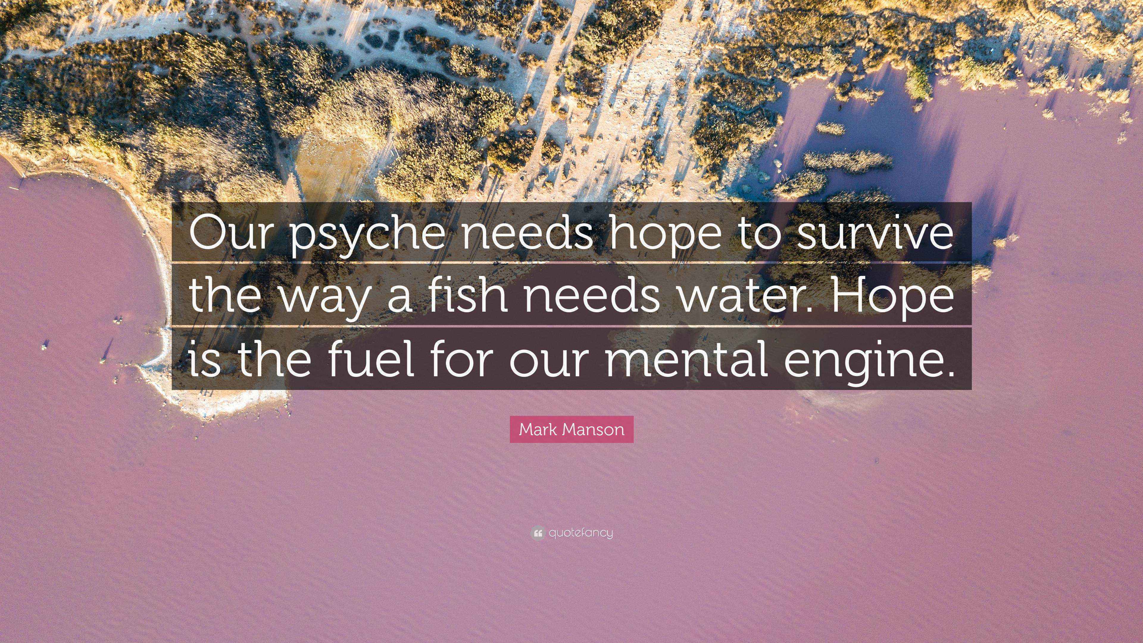 Mark Manson Quote: “Our psyche needs hope to survive the way a fish ...