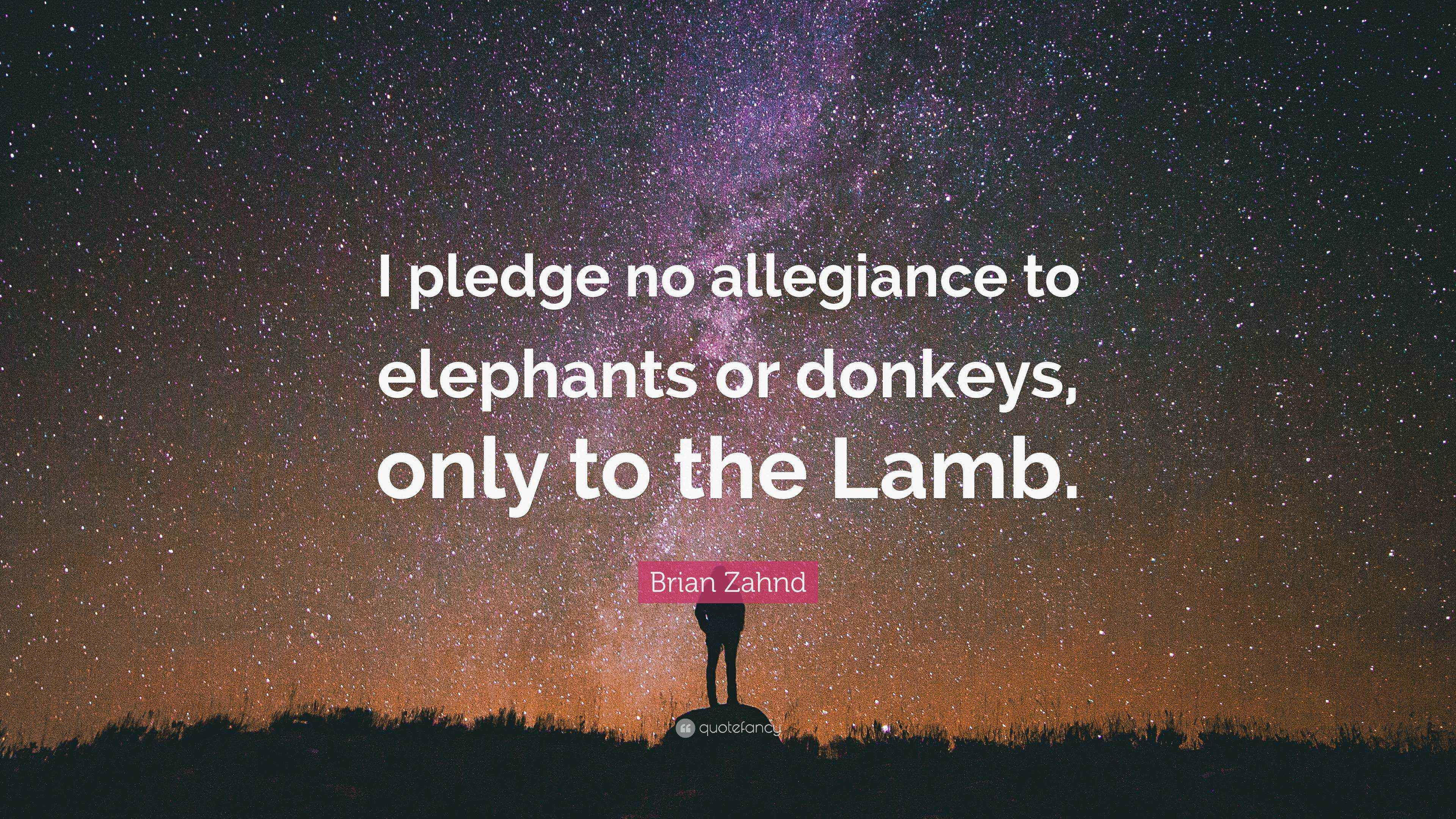Brian Zahnd Quote: “I pledge no allegiance to elephants or donkeys ...
