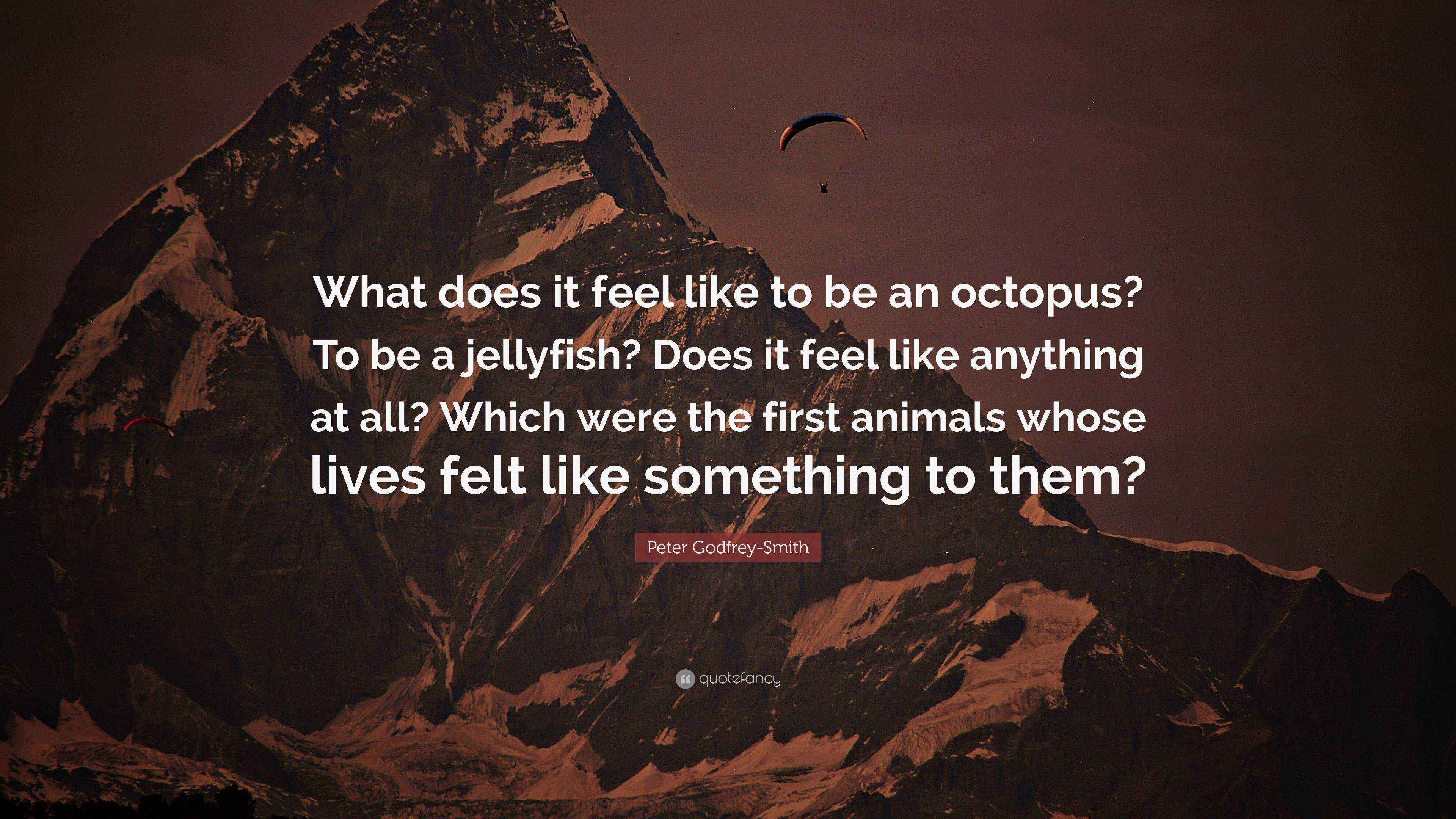 Peter Godfrey-Smith Quote: “What does it feel like to be an octopus? To ...
