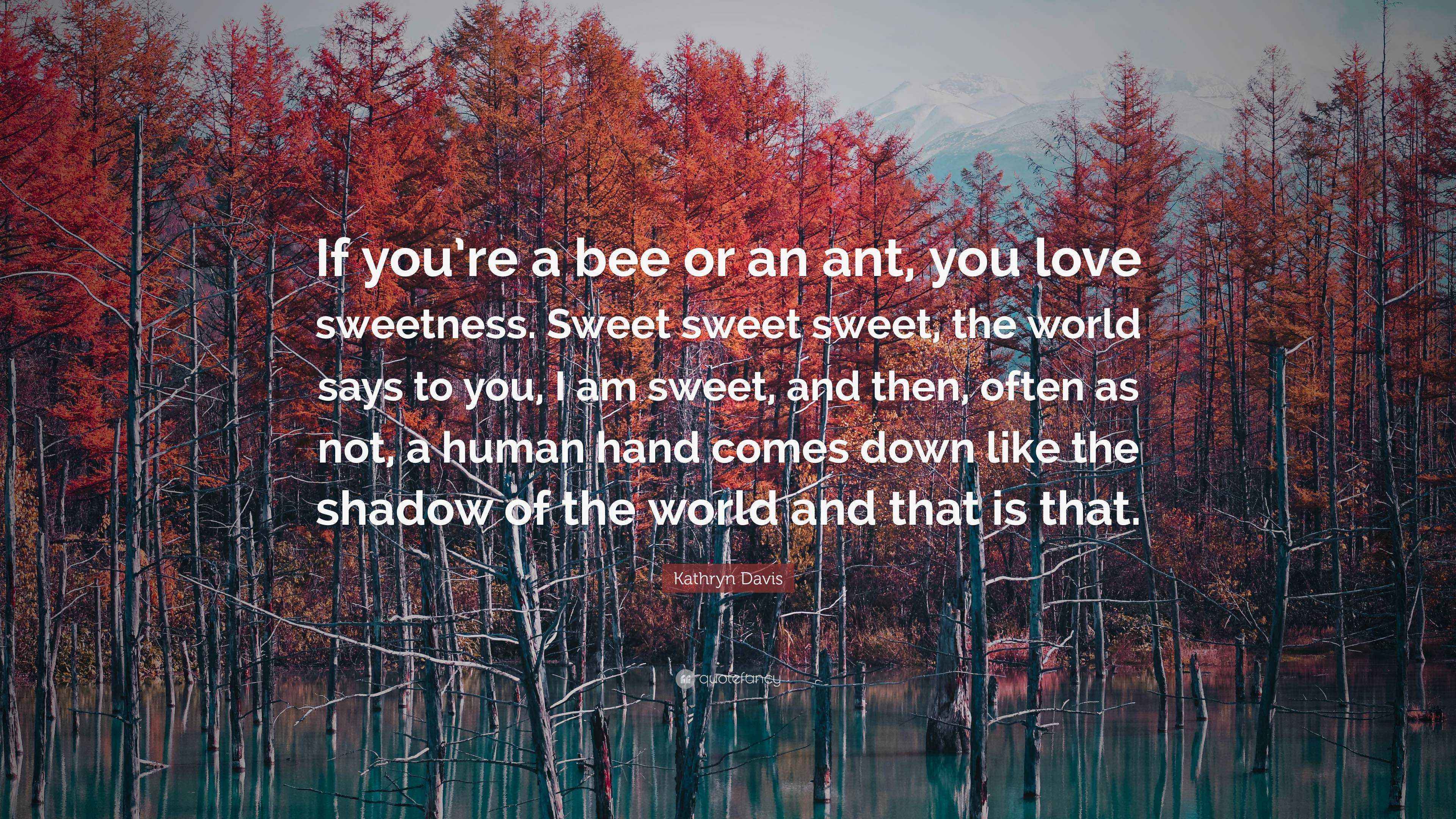 Kathryn Davis Quote: “If you’re a bee or an ant, you love sweetness ...