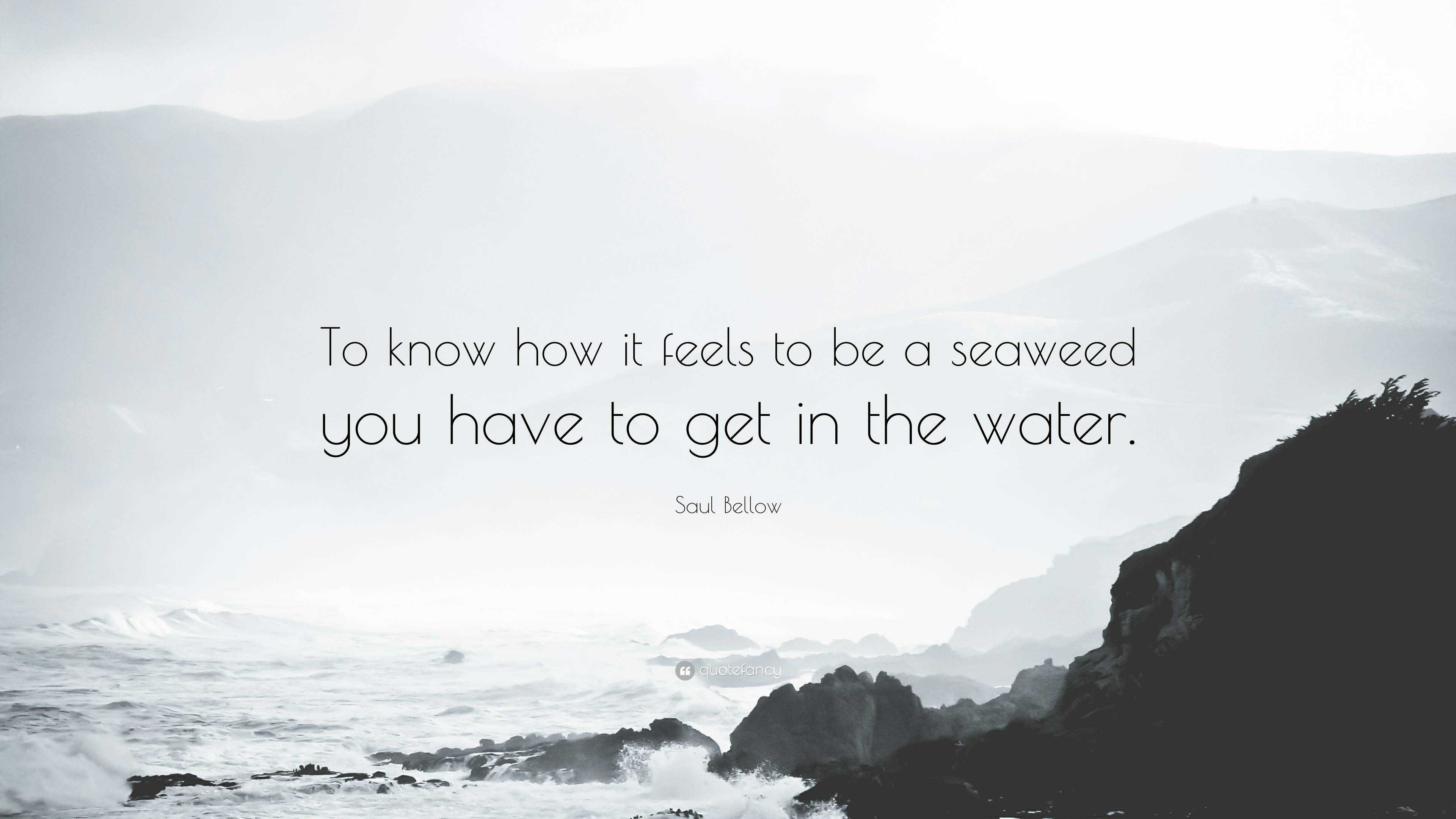 Saul Bellow Quote: “To know how it feels to be a seaweed you have to ...
