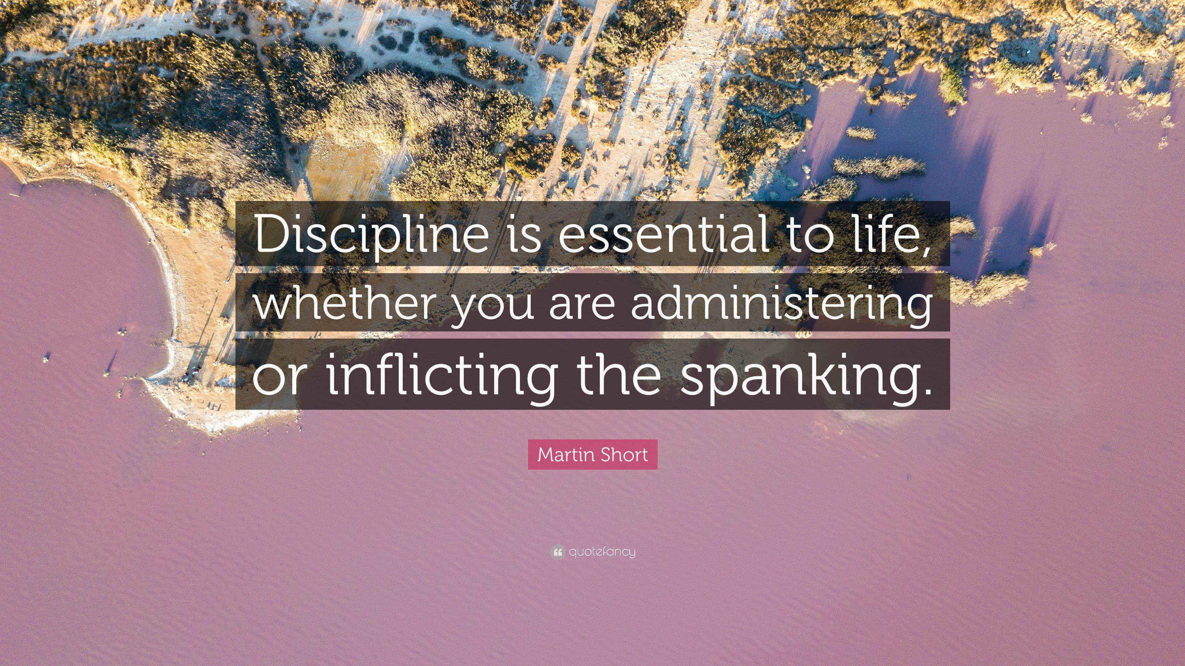 Martin Short Quote: “Discipline is essential to life, whether you are ...