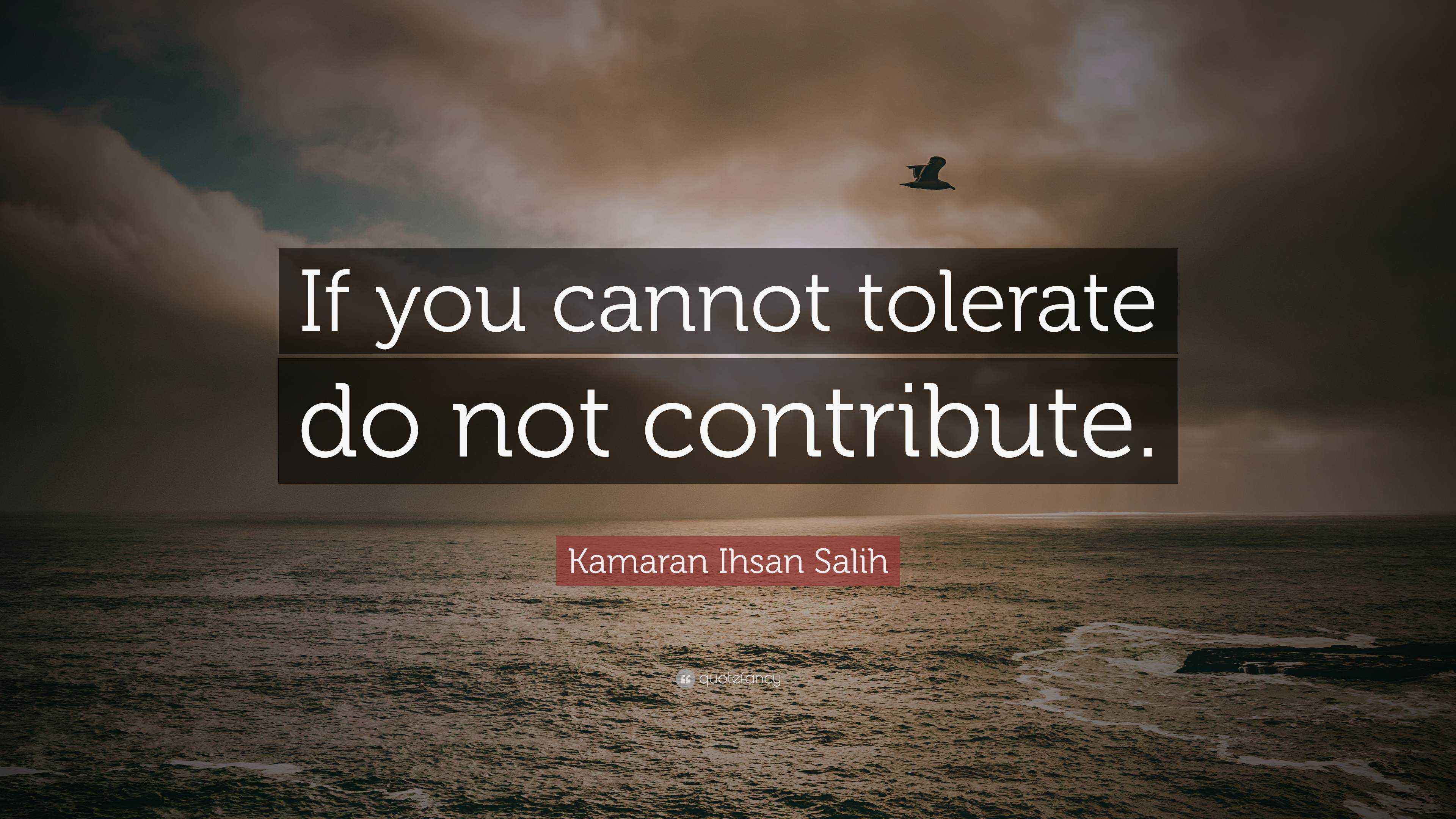 Kamaran Ihsan Salih Quote: “If you cannot tolerate do not contribute.”