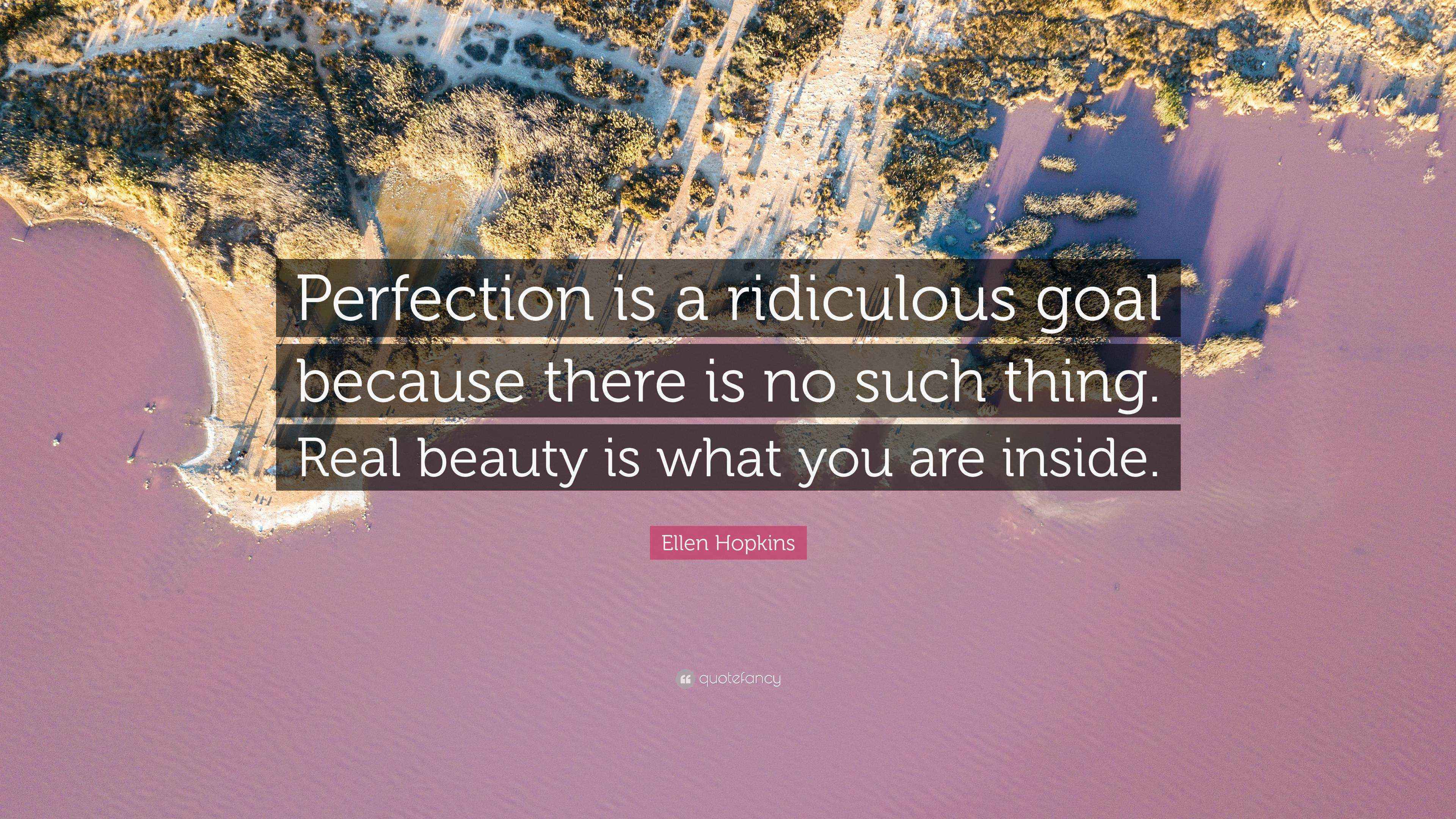 Ellen Hopkins Quote: “Perfection is a ridiculous goal because there is ...