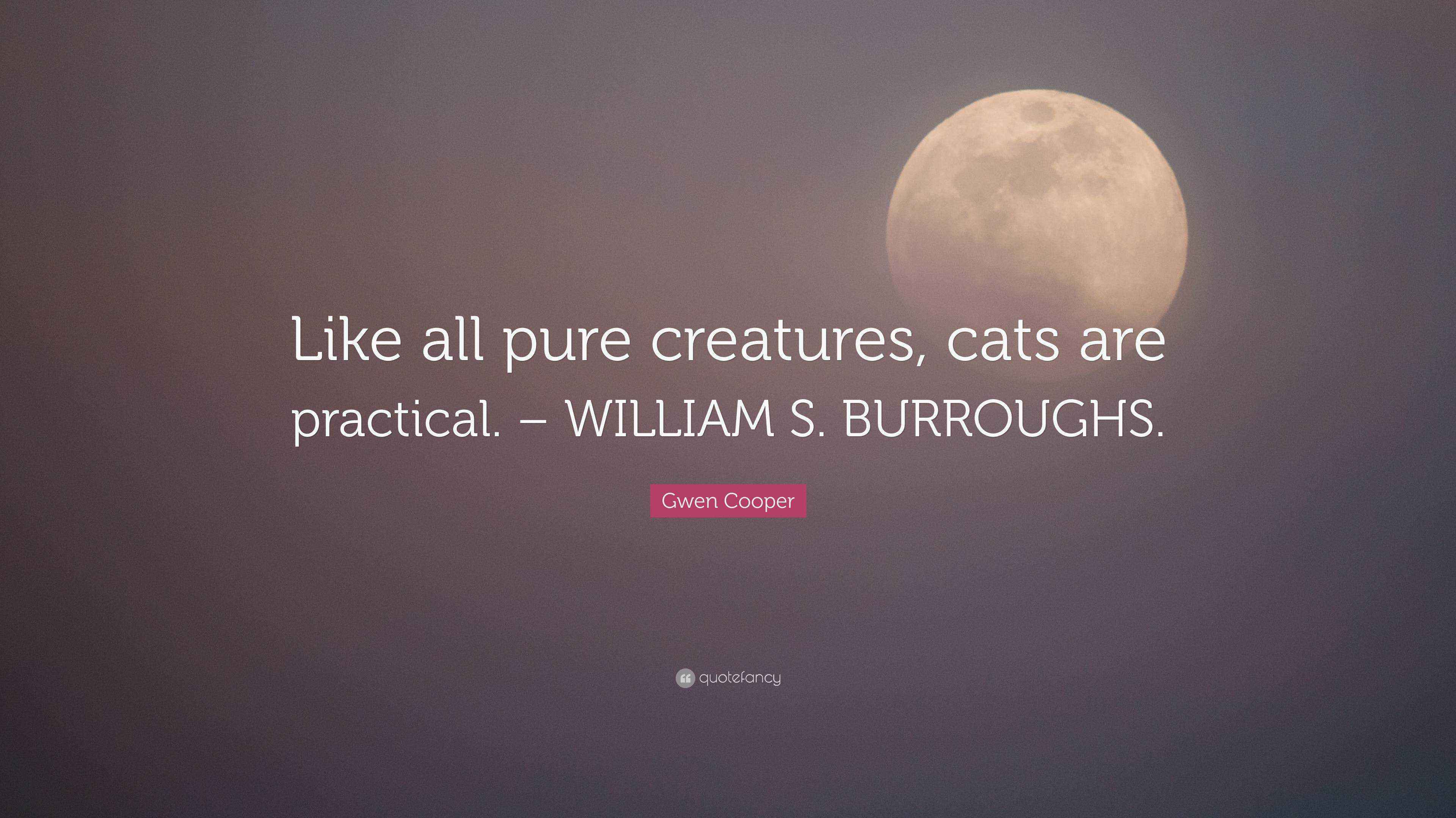 Gwen Cooper Quote: “Like all pure creatures, cats are practical ...