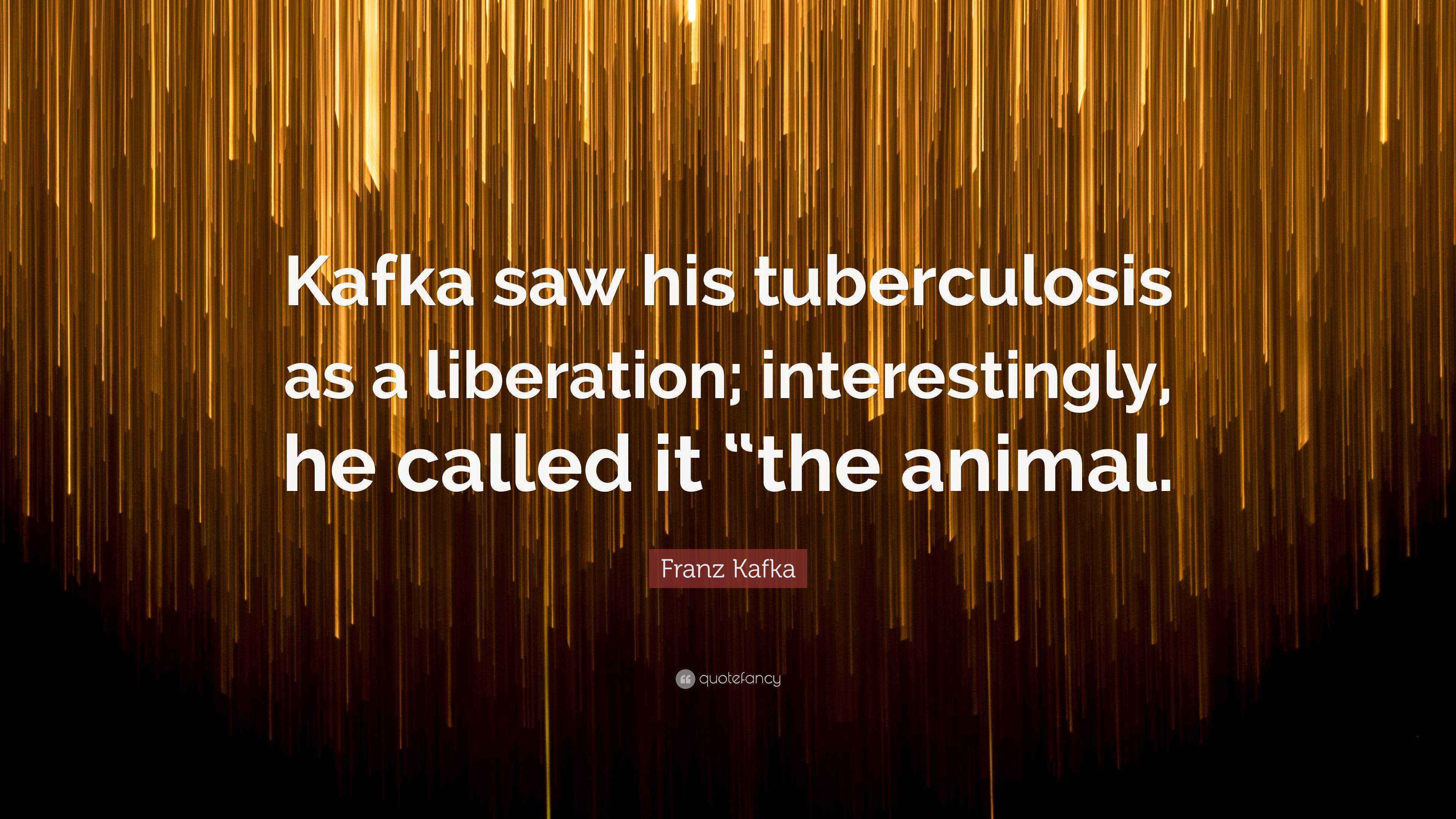 Franz Kafka Quote: “Kafka saw his tuberculosis as a liberation ...