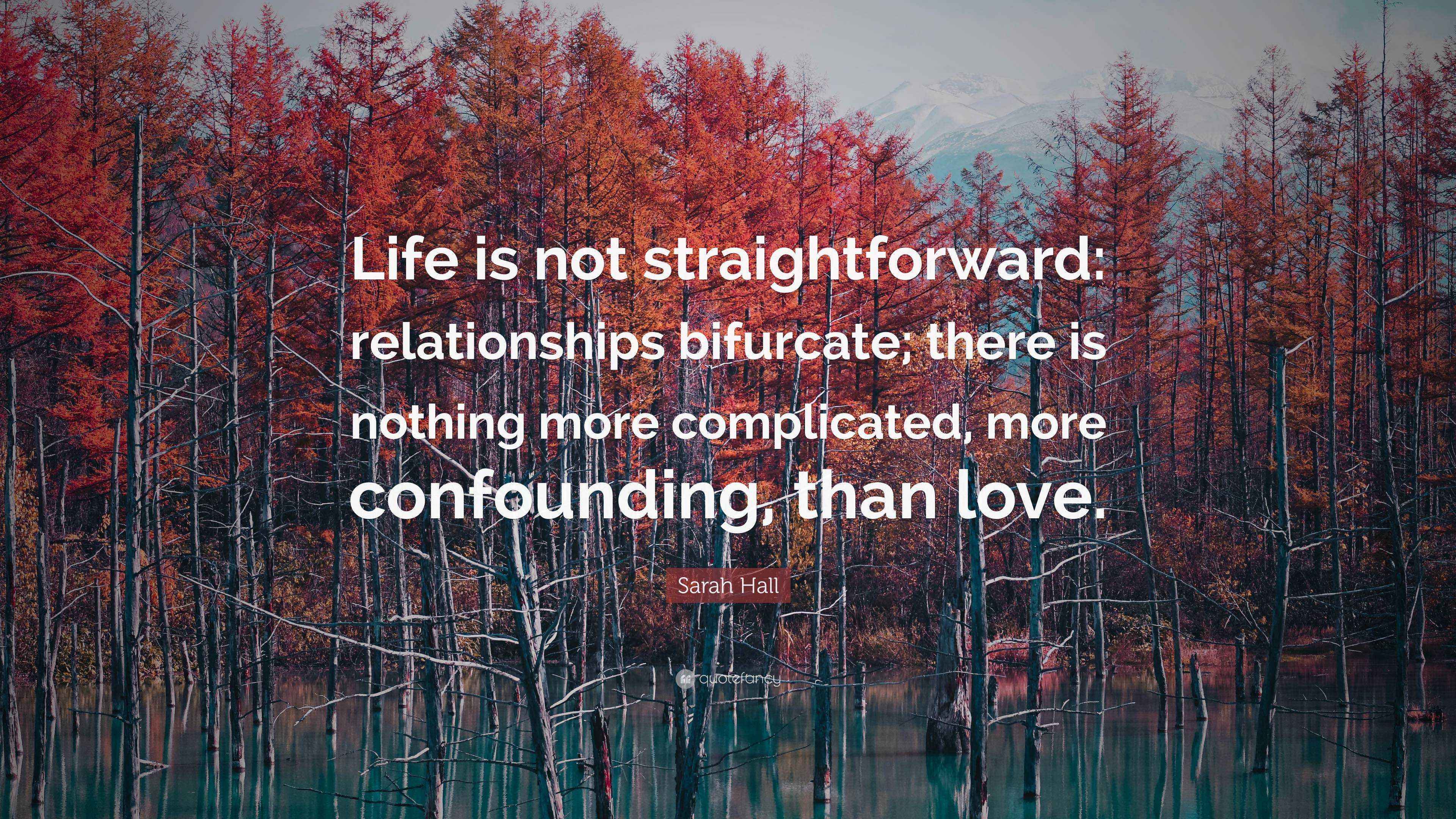 Sarah Hall Quote: “Life is not straightforward: relationships bifurcate ...