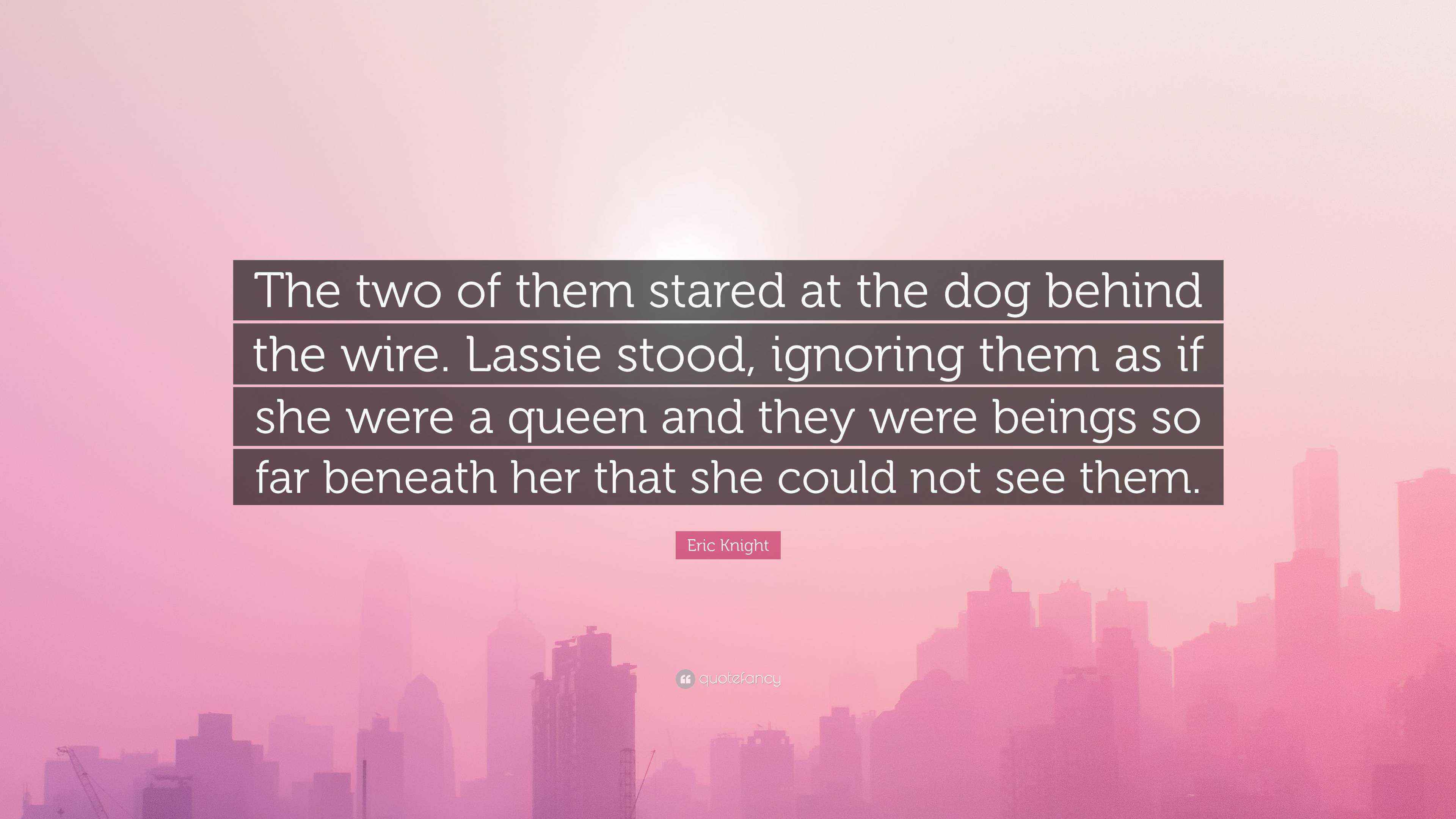 Eric Knight Quote: “The two of them stared at the dog behind the wire ...